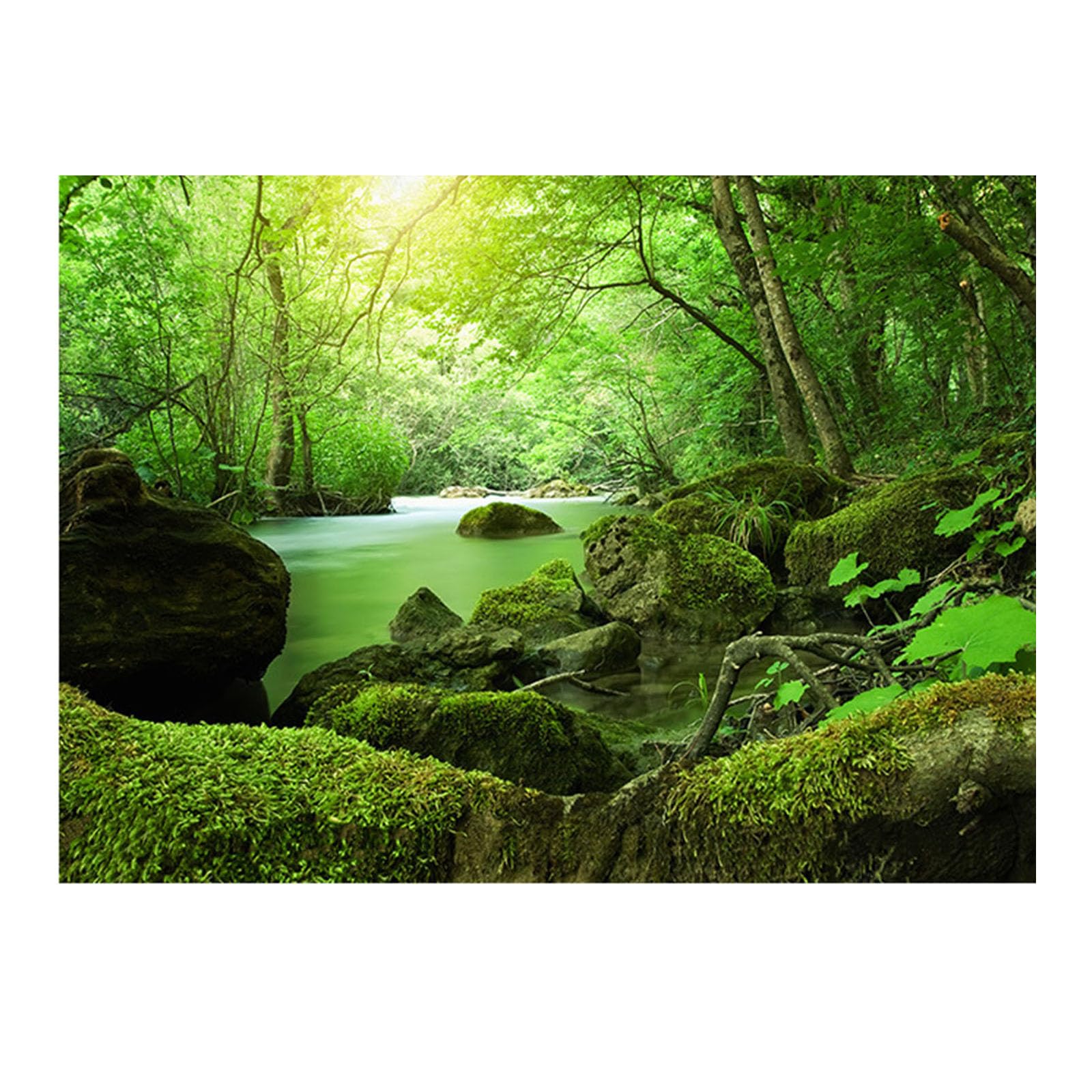 Magical Nature Backgrounds