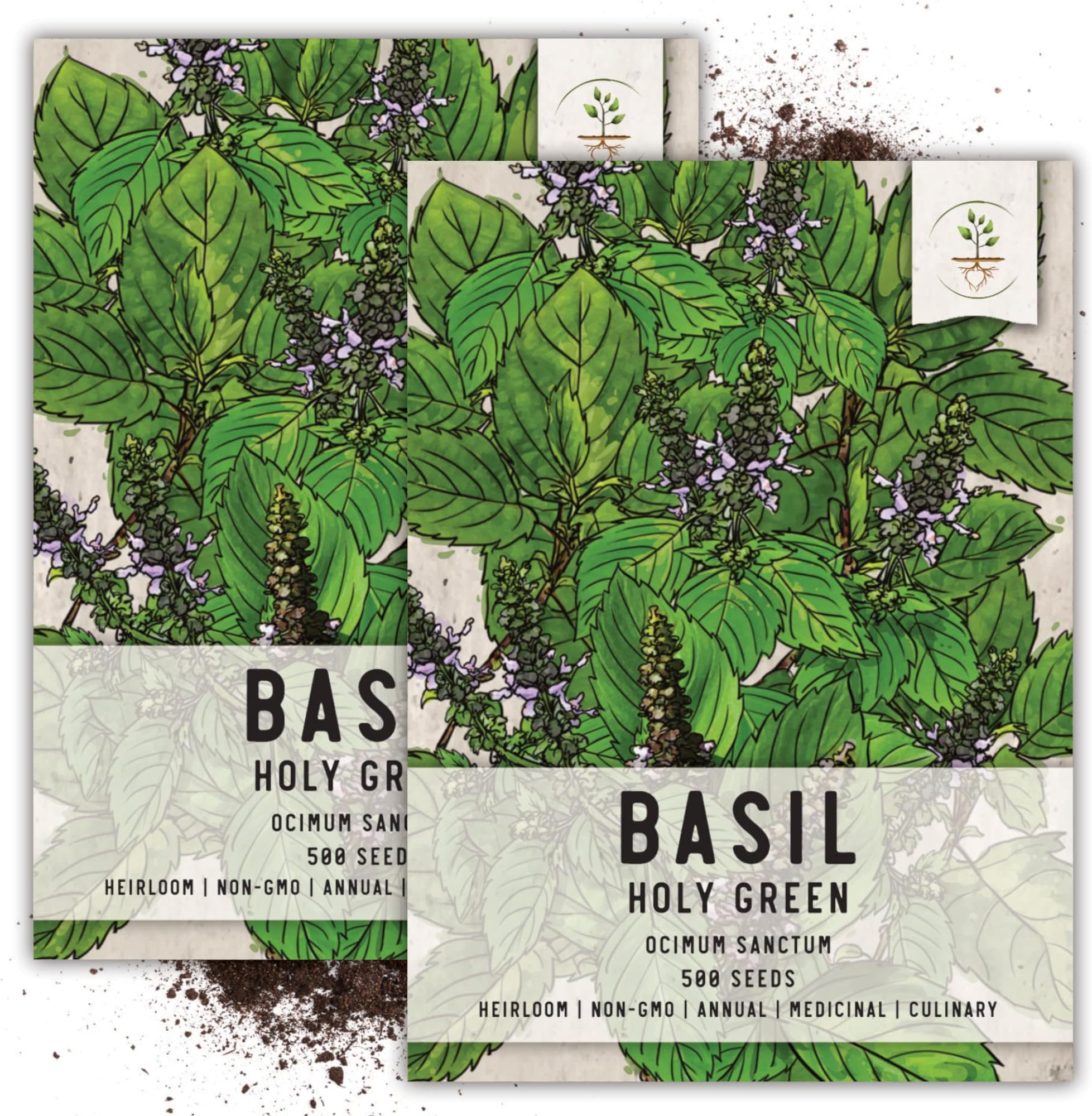 Amazon.com : TAJ Premium Indian Tukmaria Seed (Sweet Basil Seeds, Tulsi ...