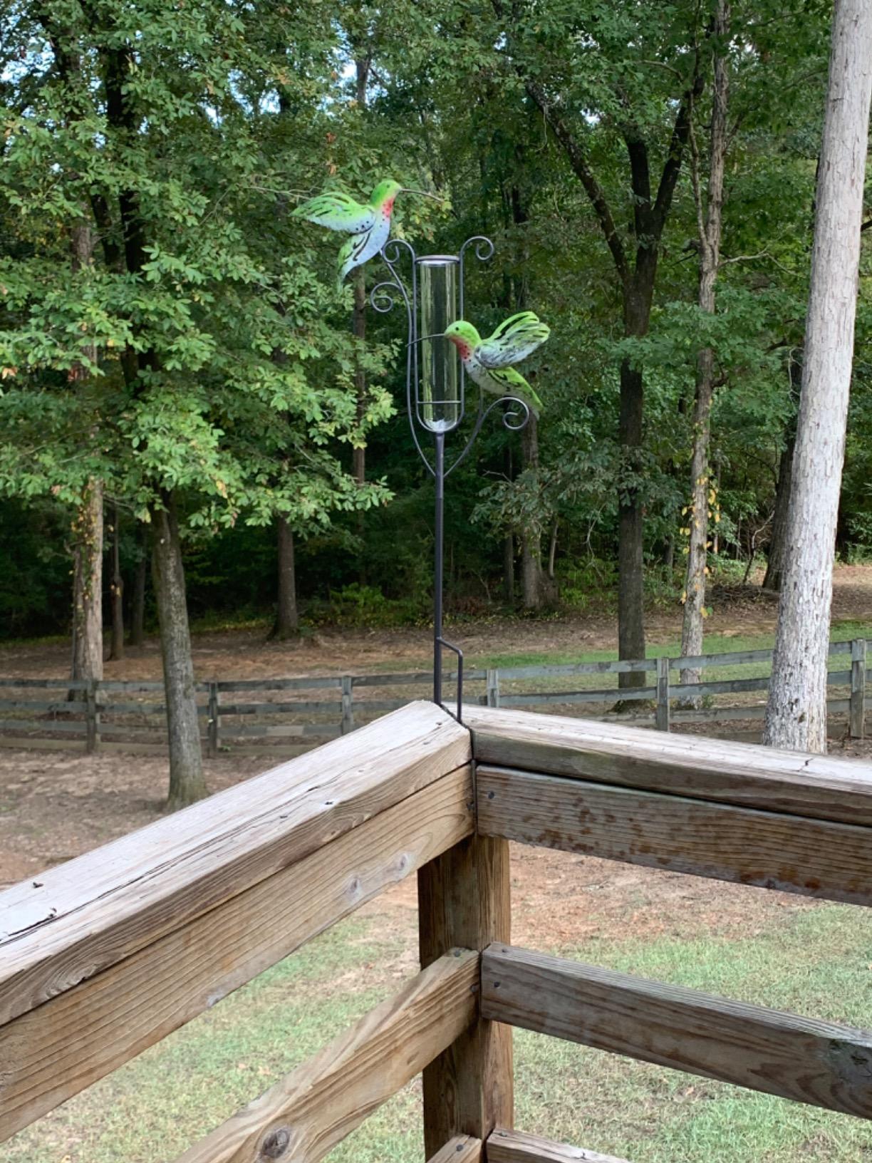 Amazon.com : Regal Art & Gift 12091, Capri Rain Gauge Stake ...