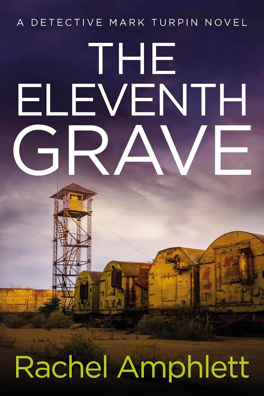The Eleventh Grave: A Detective Mark Turpin crime thriller eBook ...