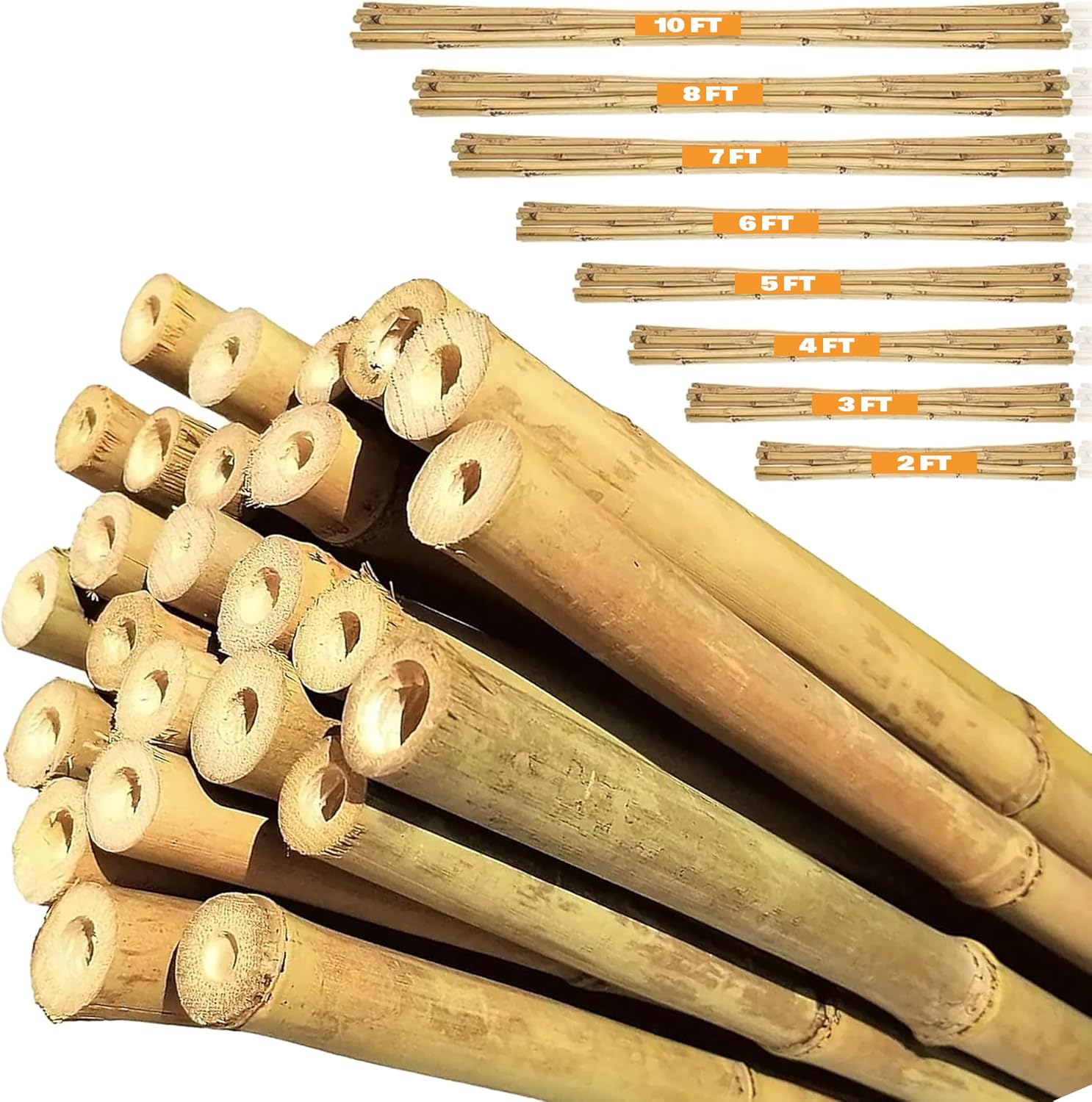 Bamboo Canes 2ft, 3, 4, 5, 6, 7 & 8ft – Natural Garden Bamboo Sticks ...