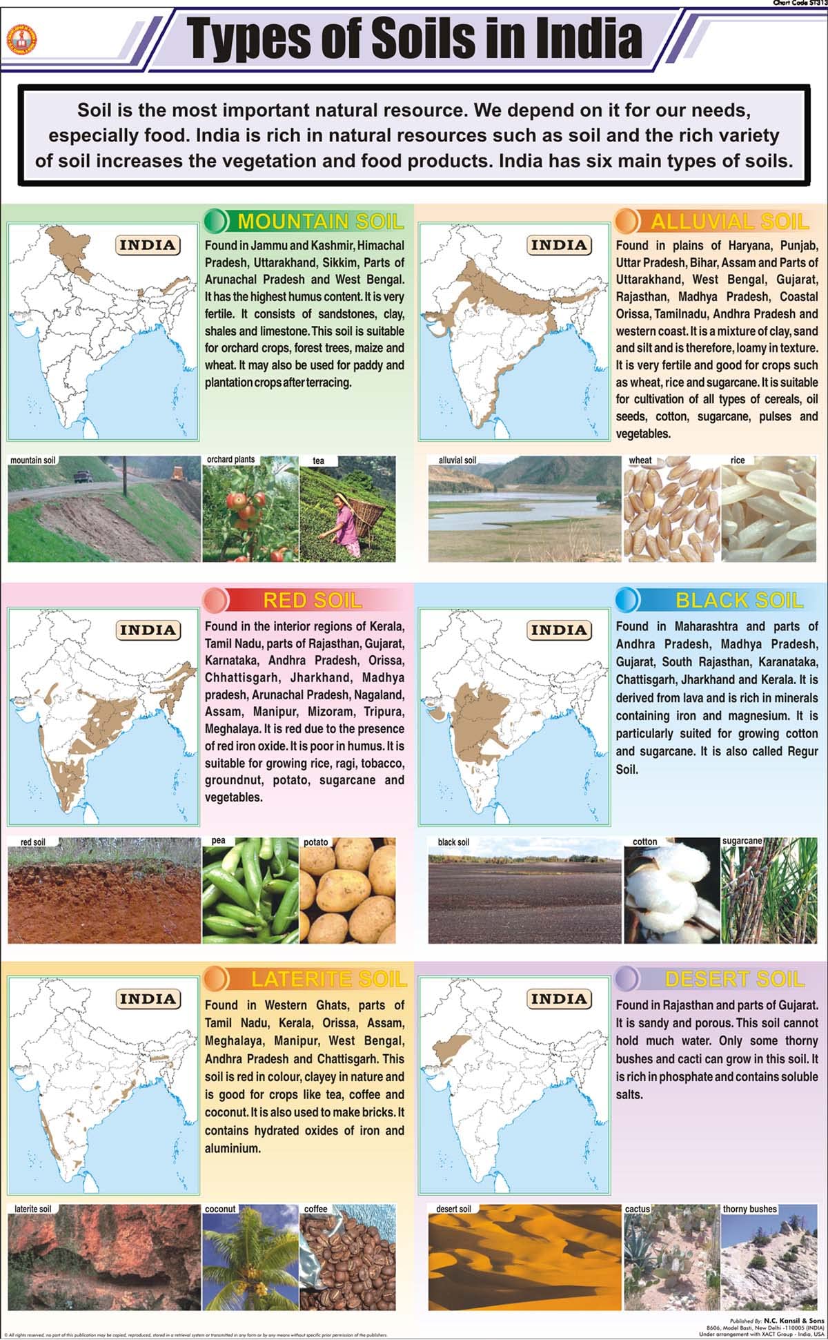 Buy STG24 | TeachingNest | Types of Soil in India Chart (58x90 cm ...