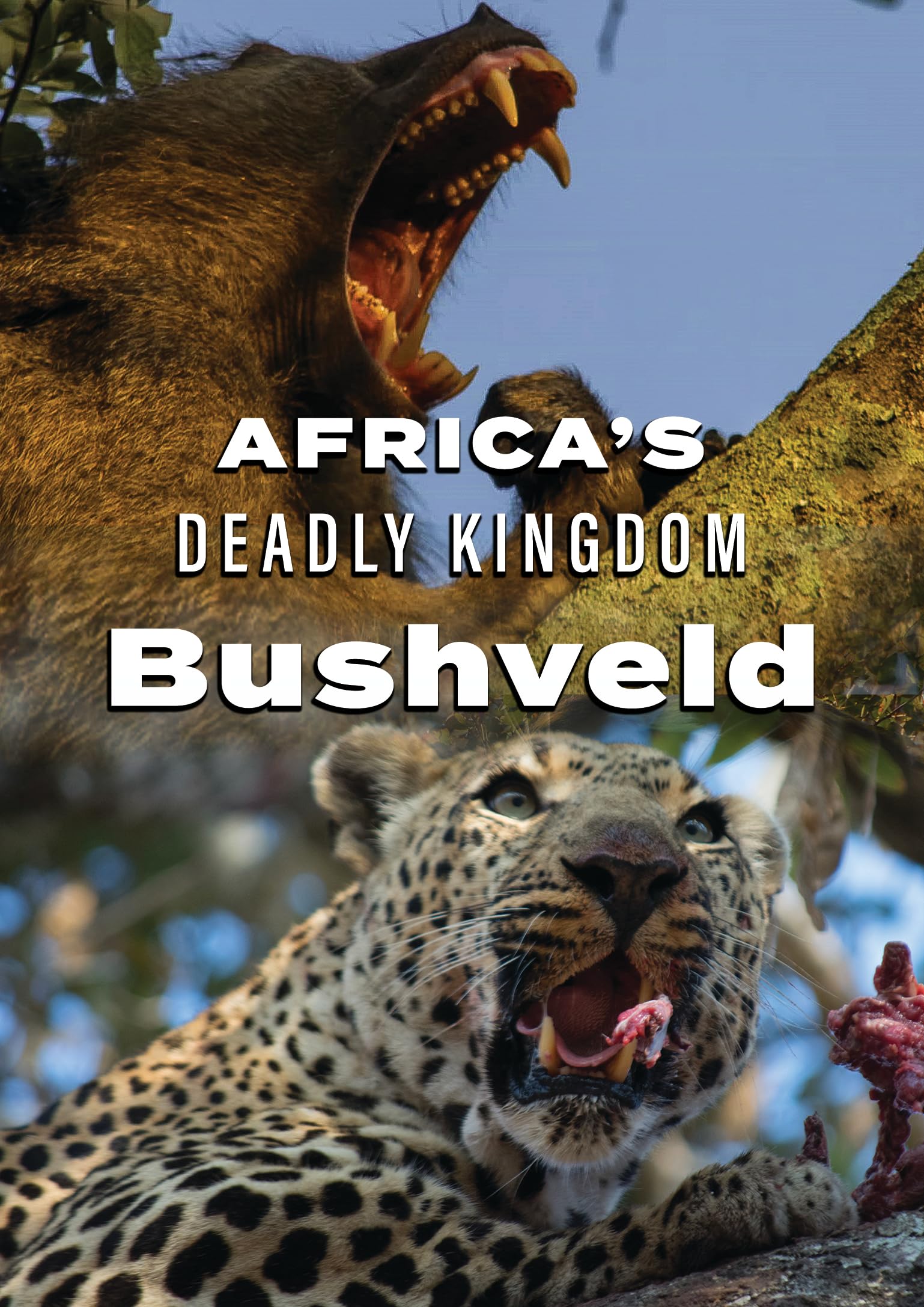Amazon.com: Africa's Deadly Kingdom: Bushveld [DVD] : Peter Lamberti ...