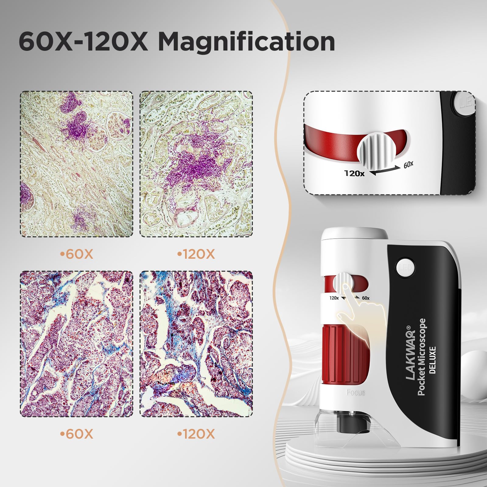 Snapklik.com : LAKWAR 60-120X Mini Pocket Microscope For Kids Adults ...