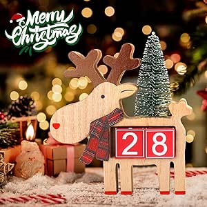 Amazon.com: Christmas Decorations Countdown,Reusable Advent Calendars ...