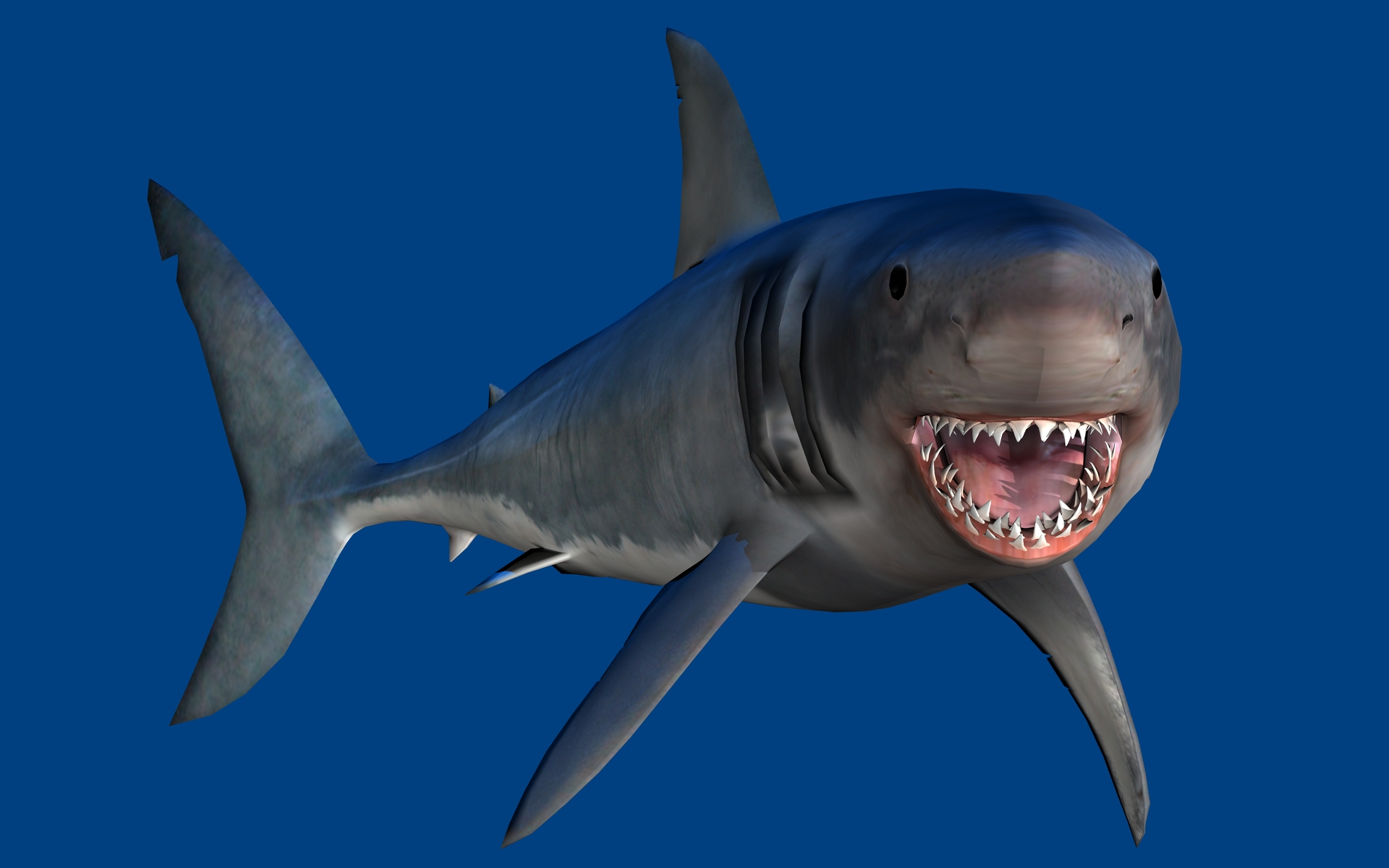 Talking Shark - App on Amazon Appstore