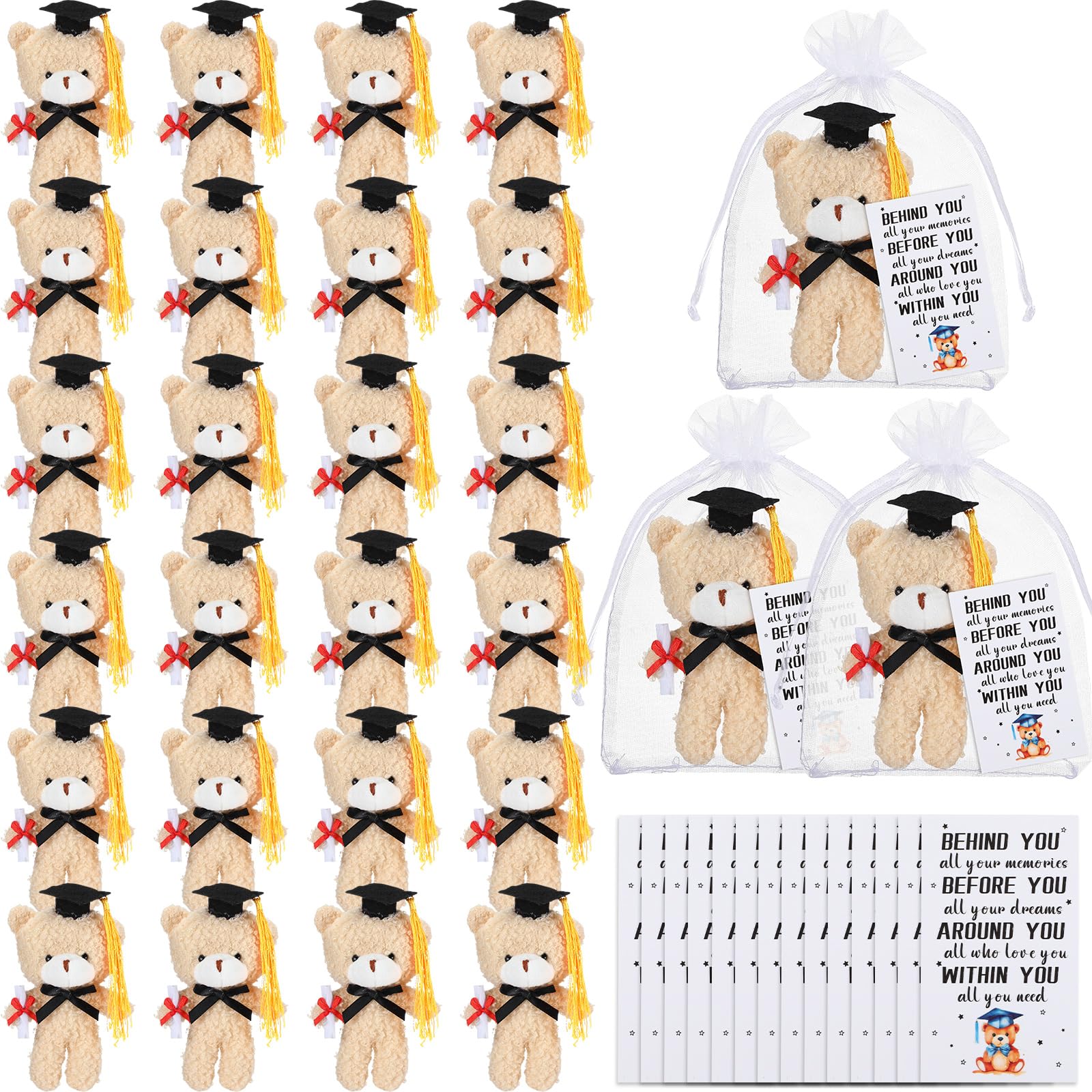 HyDren 24 Sets Class of 2024 Graduation Gift Mini Graduation Bear Plush ...