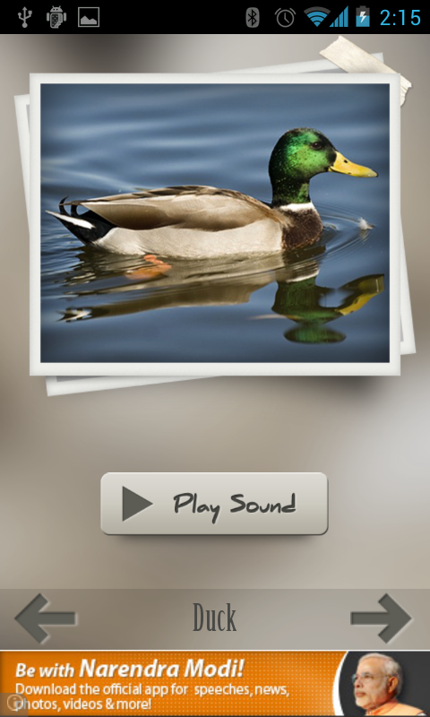 Bird Sounds - App on Amazon Appstore