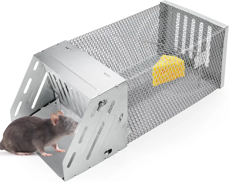 The Effective And Humane Approach: Using A Have A Heart Rodent Trap To ...