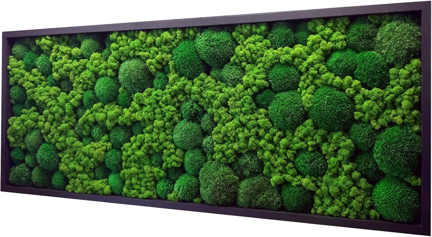 Hello Moss Picture - Moss Decoration for Your Home - Picture Frame with ...