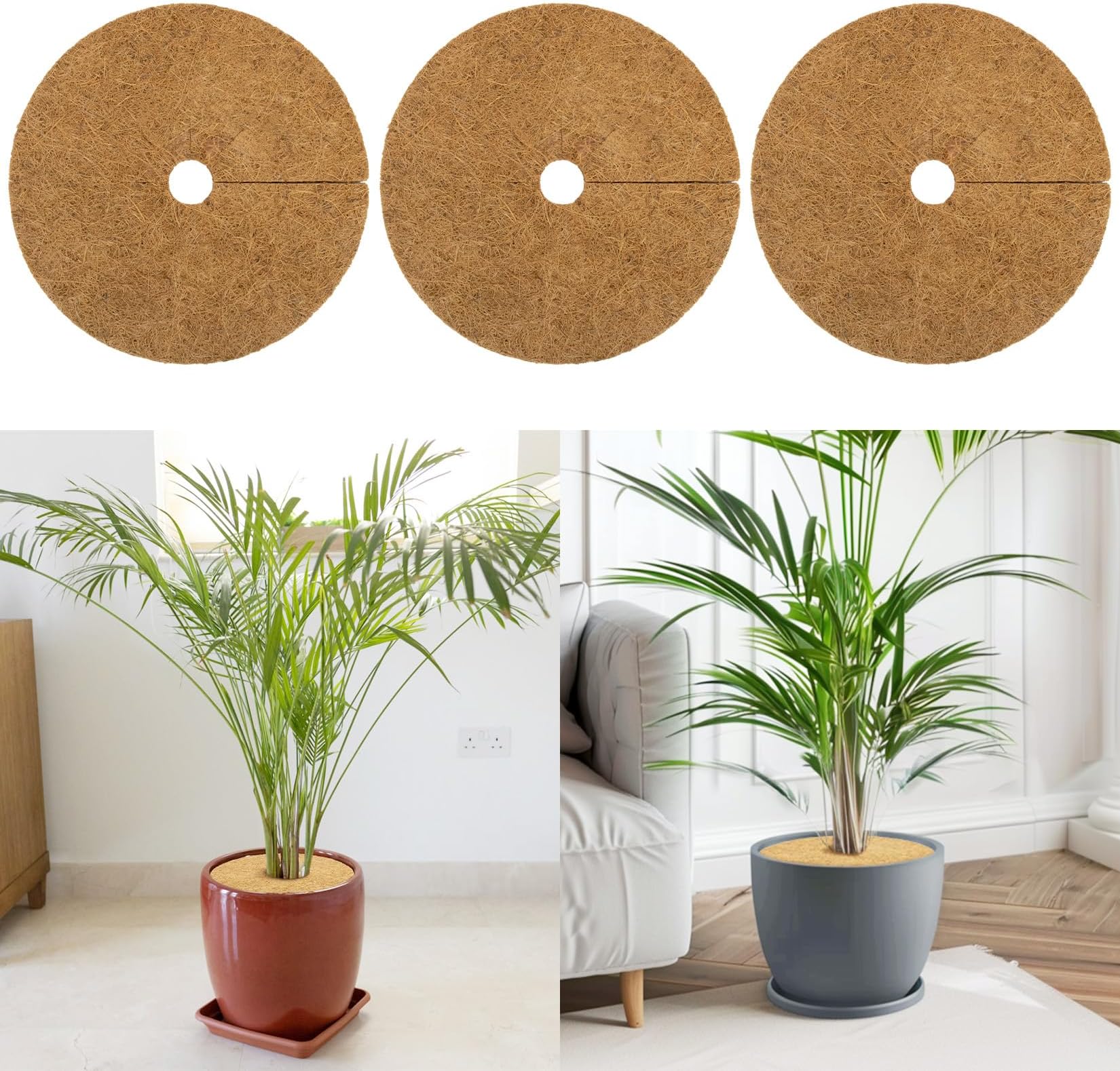 Amazon.com : Sukh Coconut Fibers Plant Protector Mat - 3PCS Tree Mulch ...