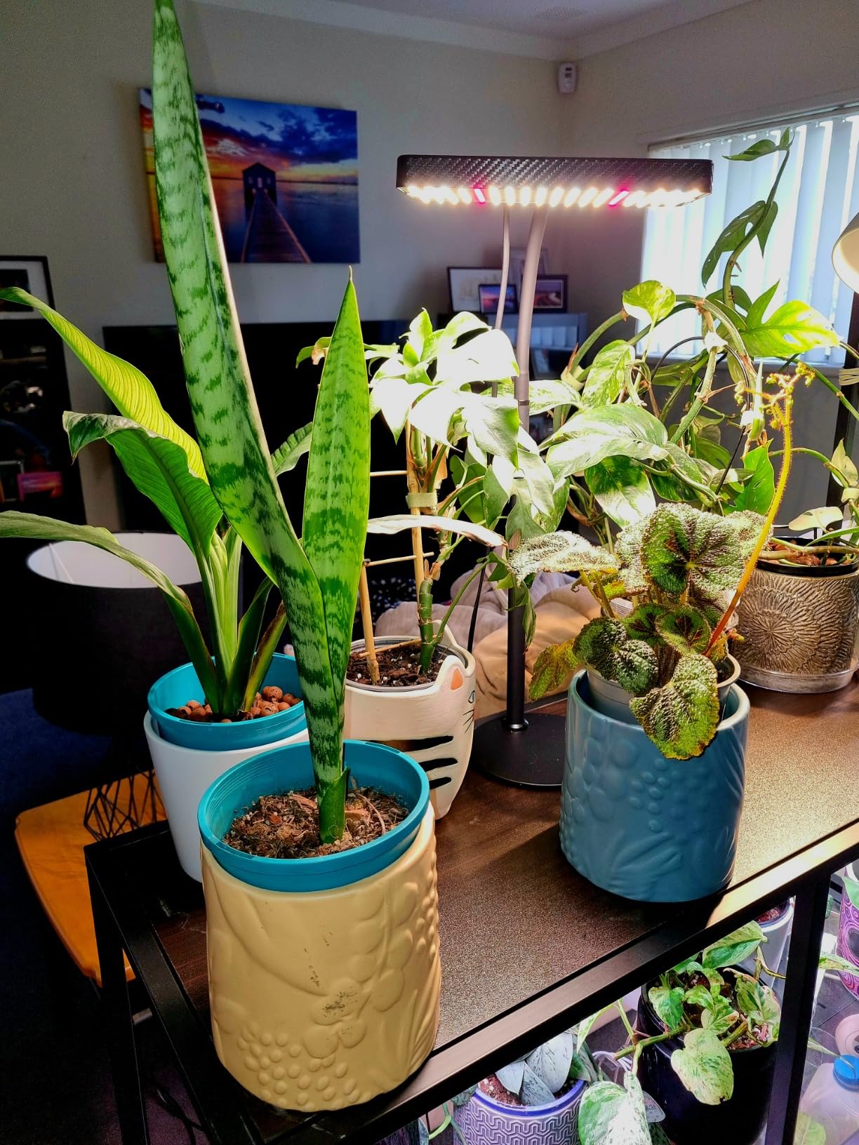 FECiDA Grow lights for Indoor Plants, 2000 Lumen LED Grow Light with ...