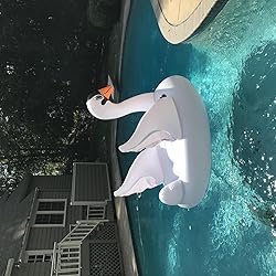 Amazon.com: Intex 56287EP Giant White Mega Swan Inflatable Swimming ...