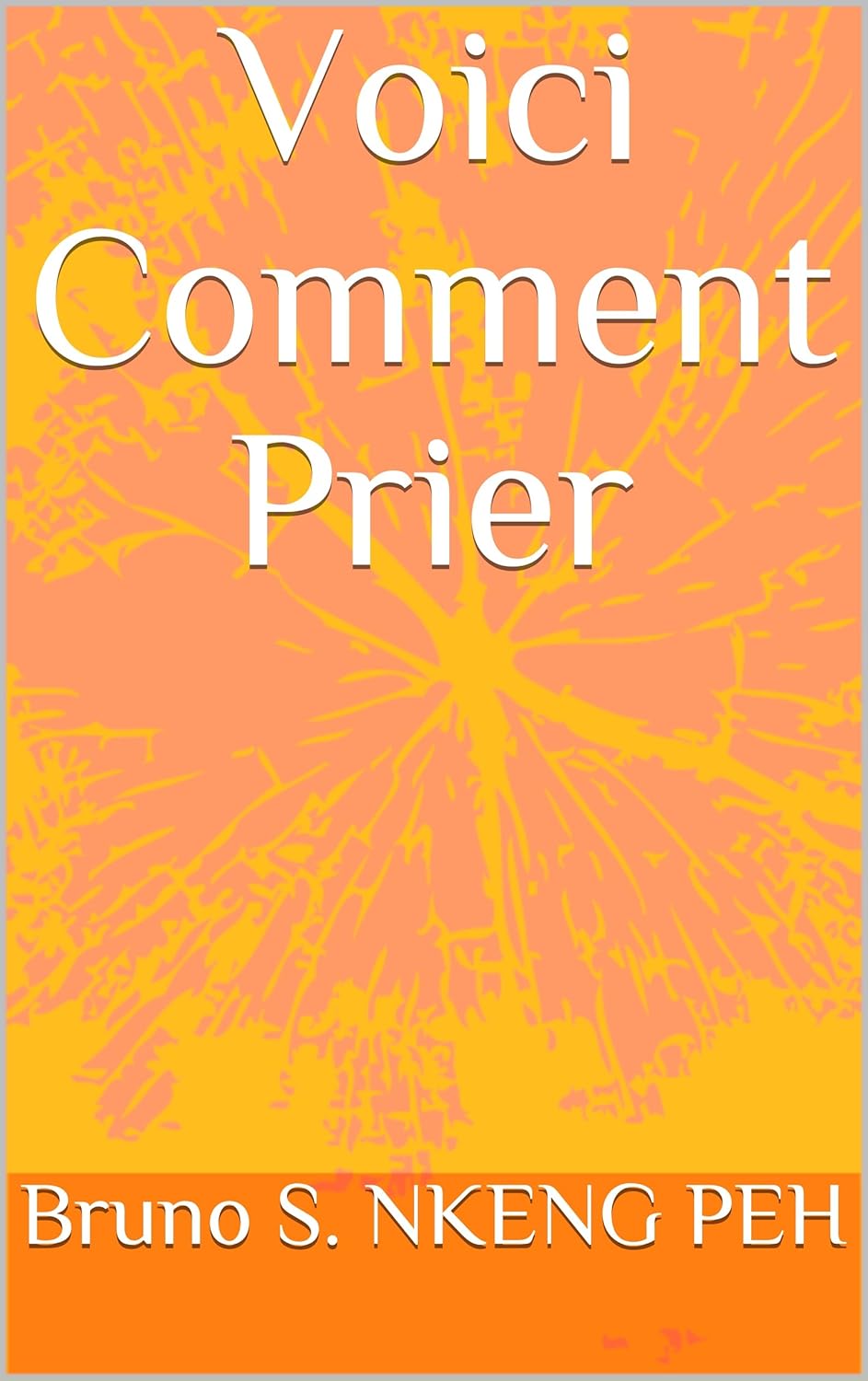 Amazon.com: Voici Comment Prier (French Edition) eBook : NKENG PEH ...