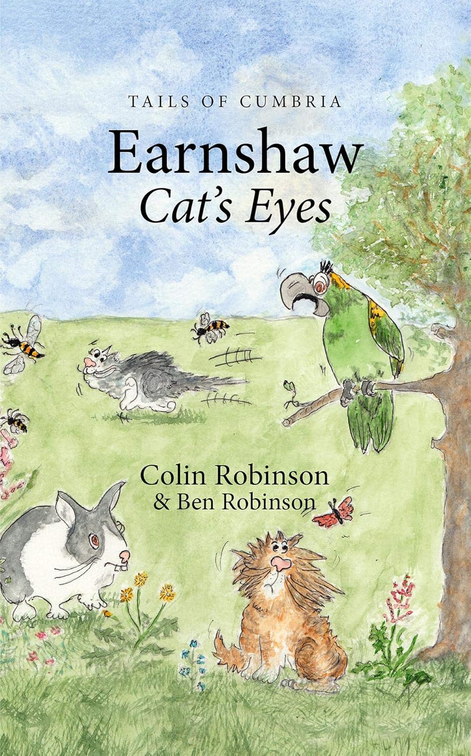 Earnshaw: Cat's Eyes eBook : Robinson, Colin, Robinson, Ben P: Amazon ...