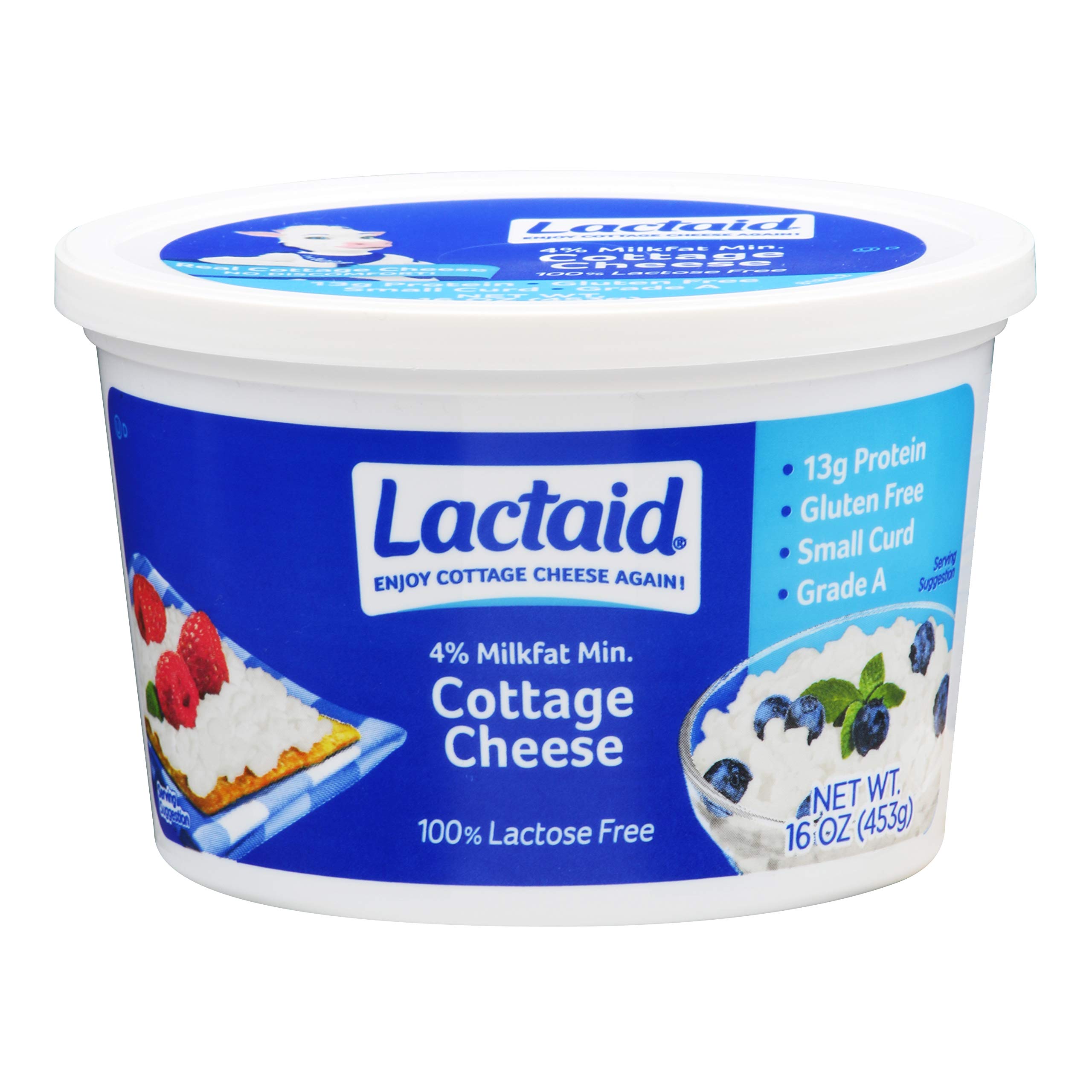The Protein Powerhouse in Your Fridge: A Guide to Cottage Cheese