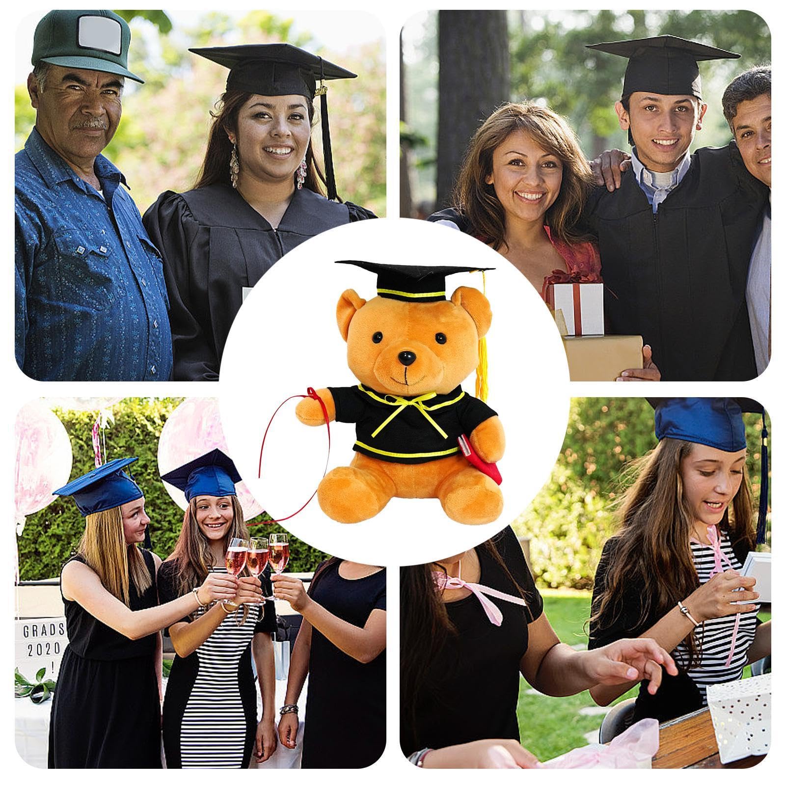 Oso De Graduacion 2024 2024 Nueva Llegada 18cm Oso De Graduación