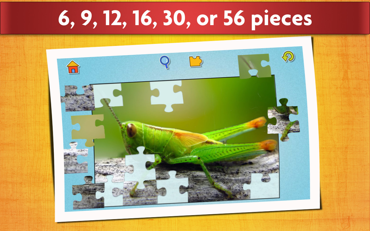 Insects and Bugs Puzzles for Kids - Fun and Educational HD Jigsaw ...
