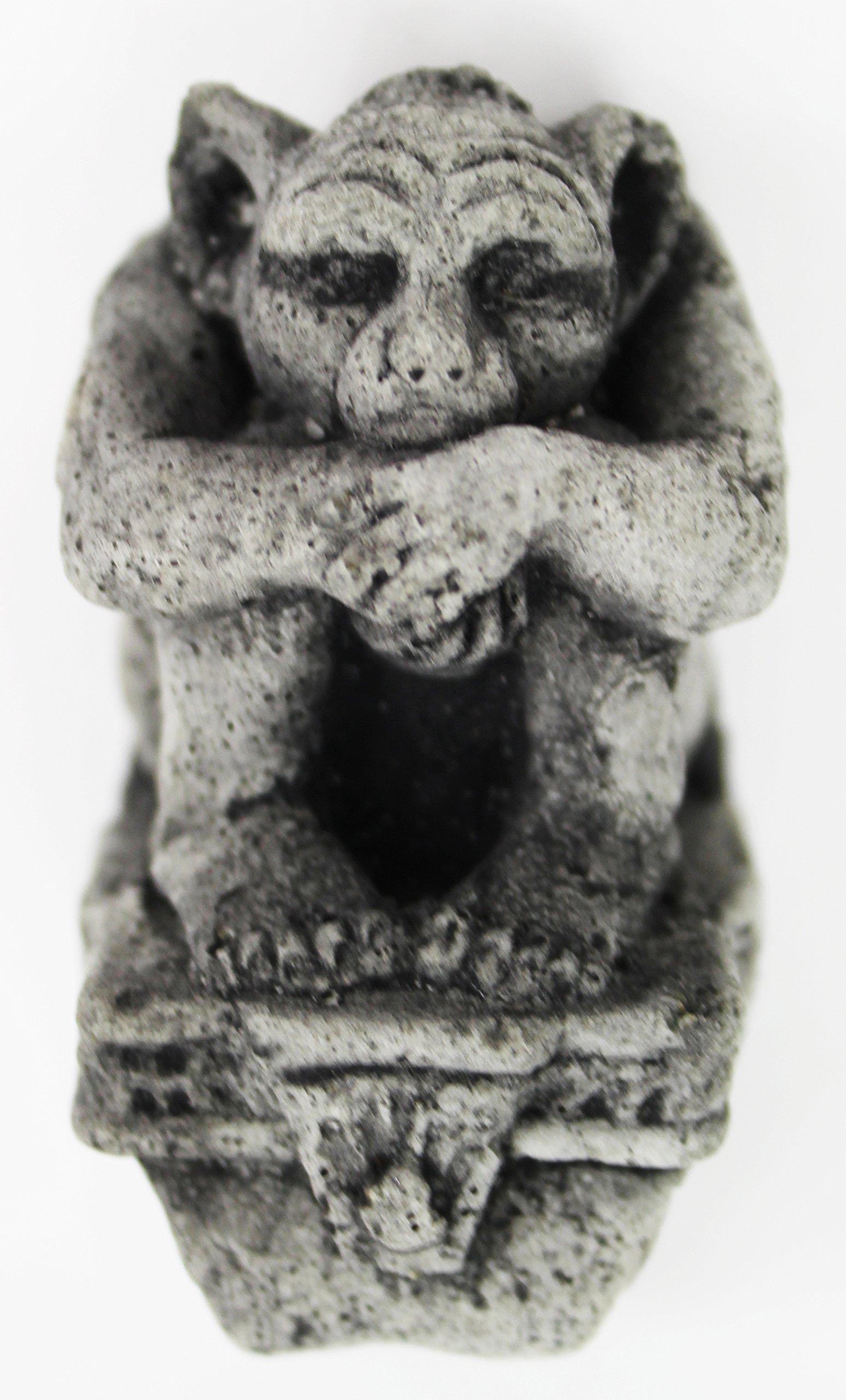 Amazon.com: Small Crouching Hanging Gargoyle Concrete Sm Garden Wall ...
