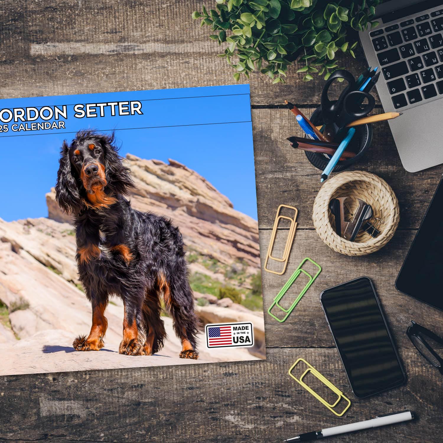 Snapklik.com : 2025 Gordon Setter Calendar - Dog Breed Wall Calendar ...