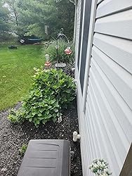 Amazon.com: Southern Ag Carbaryl 5 Percent Sevin Dust (Controls Insects ...