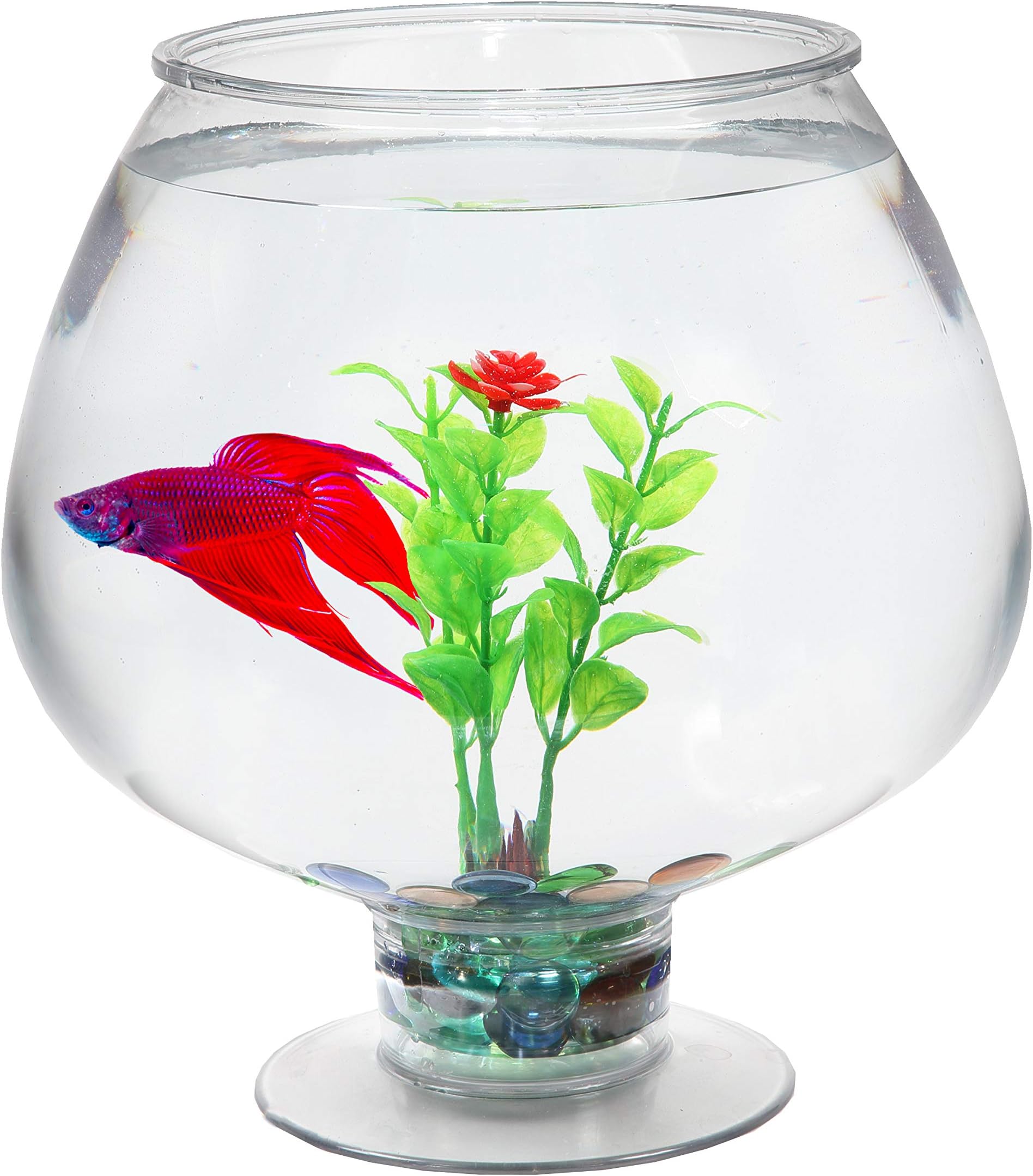 Amazon.com : SUPVOX Clear Bubble Bowl Glass Fish Bowl, Goblet Shape ...