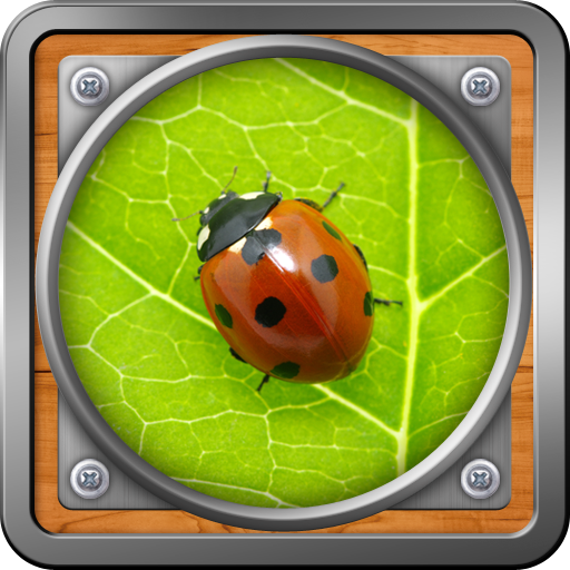 Magnifying Glass - App on the Amazon Appstore