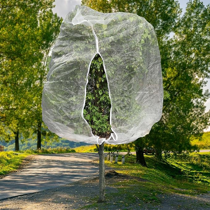 Amazon.com : 10ftx10ft Large Fruit Tree Netting Bags, Bird Netting for ...