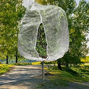 Amazon.com : 10ftx10ft Large Fruit Tree Netting Bags, Bird Netting for Fruit Trees Cicada Tree ...