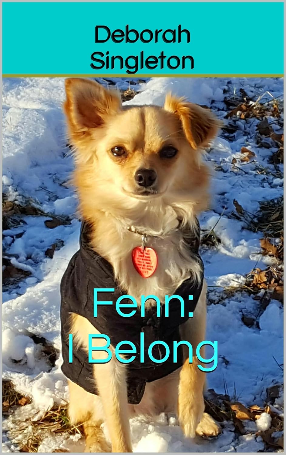 Amazon.com: Fenn: I Belong eBook : Singleton, Deborah: Kindle Store