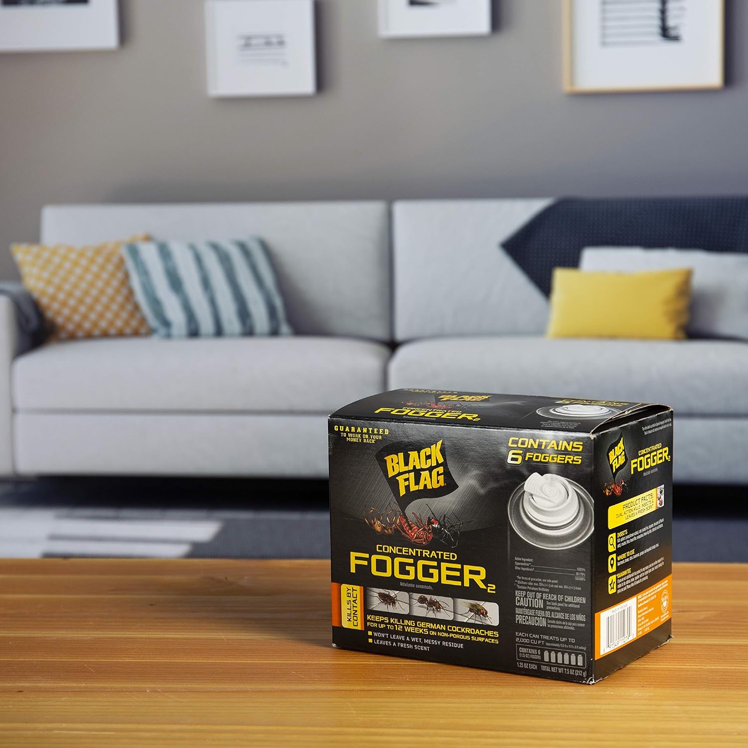 Buy Black Flag 11079 HG-11079 6 Count Indoor Fogger, Pack of 1, Clear ...