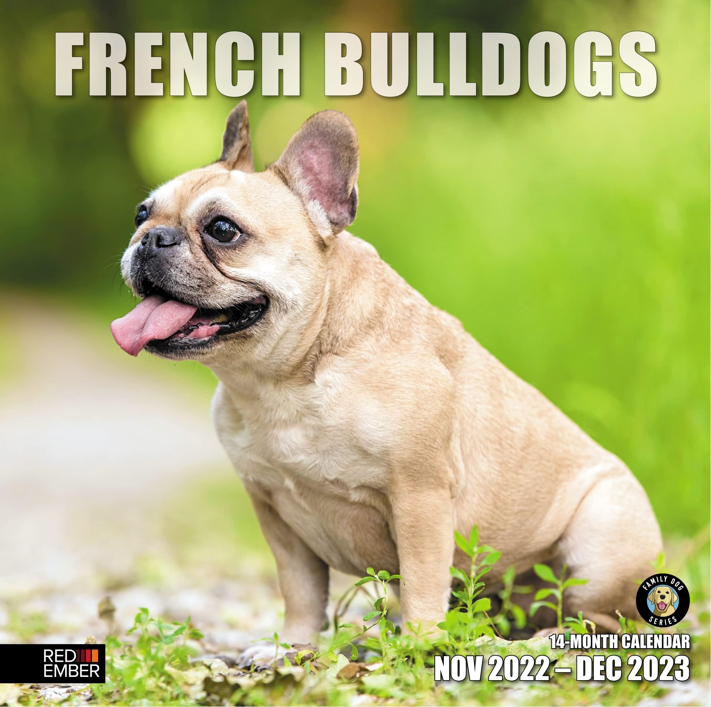 Amazon.com: MICASA French Bulldogs 2025 Hangable Monthly Wall Calendar ...