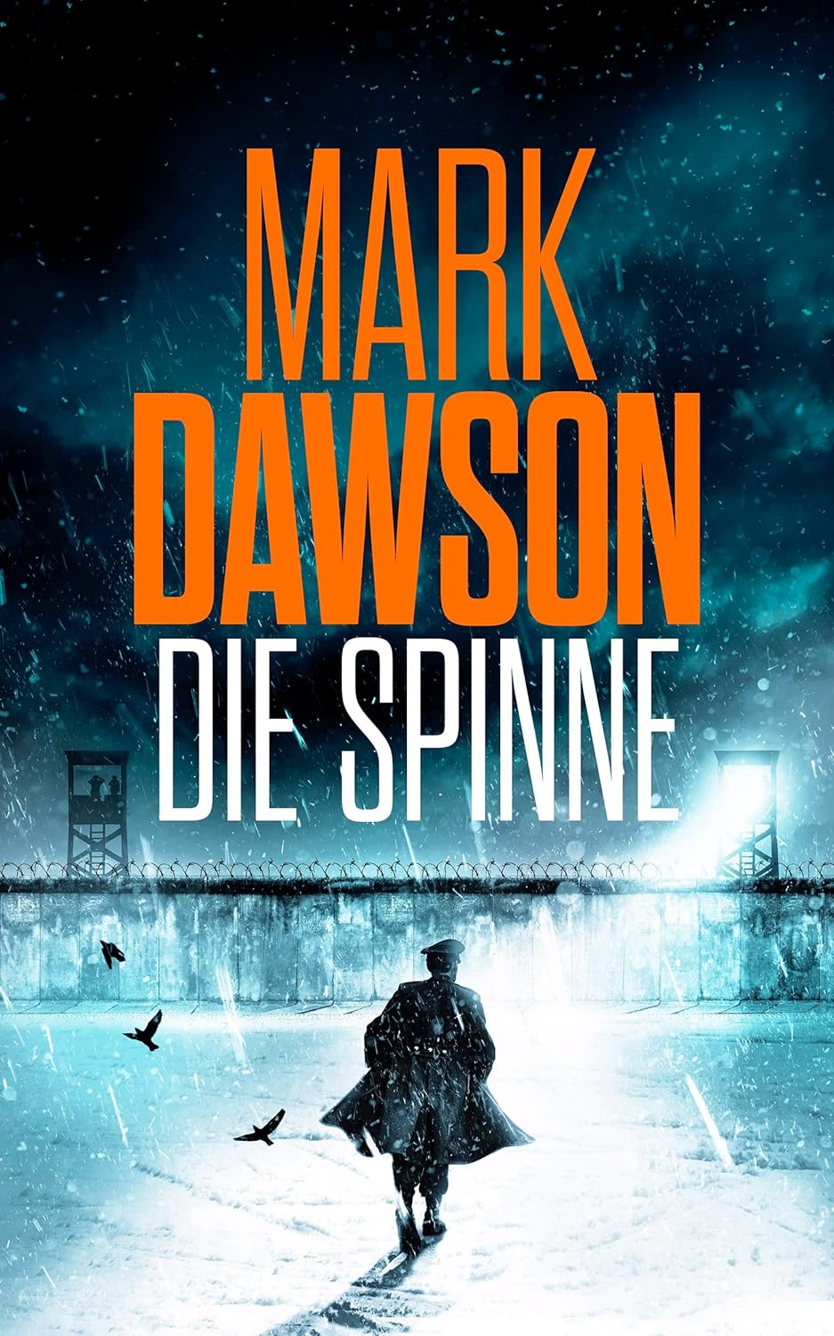 Die Spinne eBook : Dawson, Mark, Schmidt, Rainer: Amazon.de: Bücher