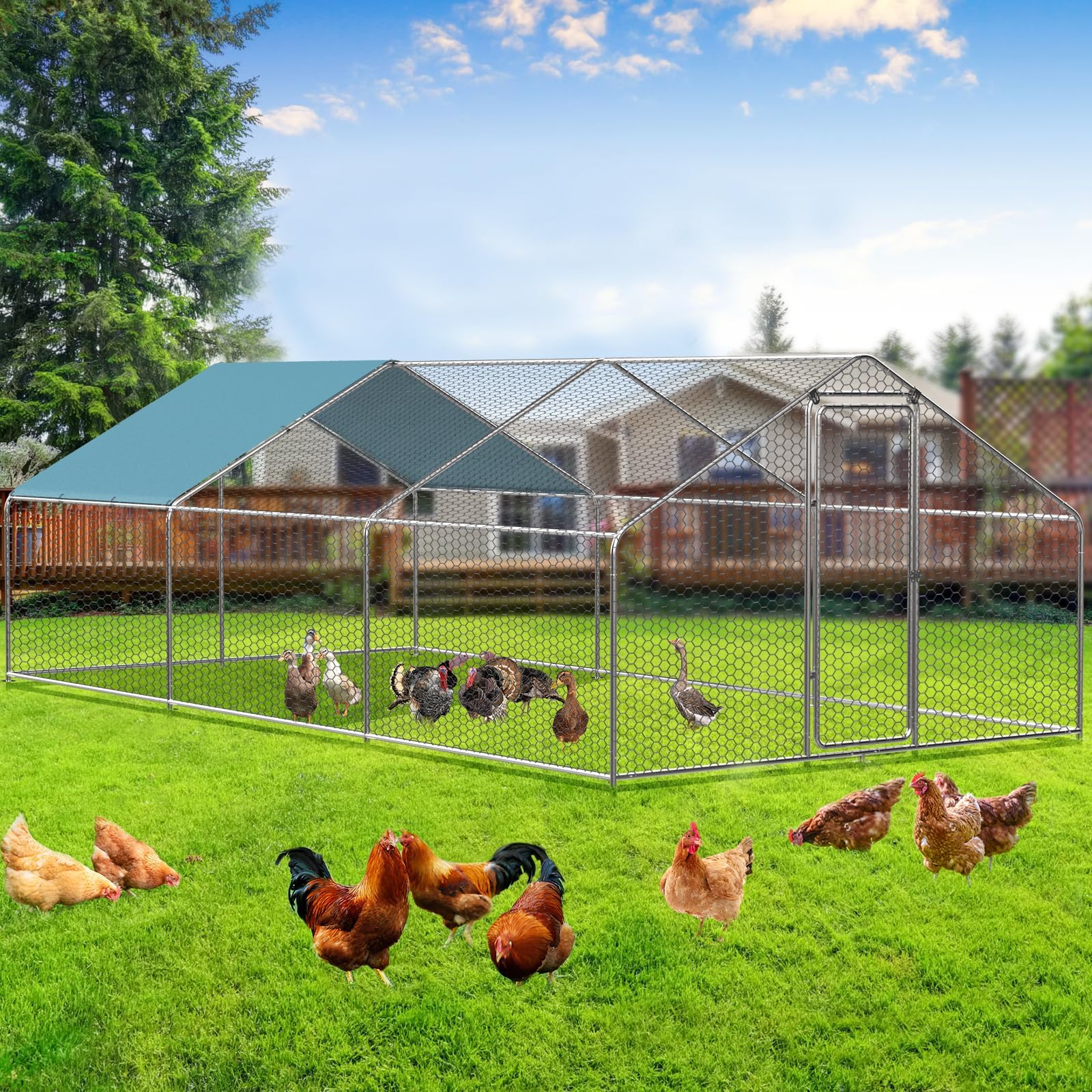Amazon.com : Lyromix 10x25.6FT Large Metal Chicken Run with Roof, Walk ...