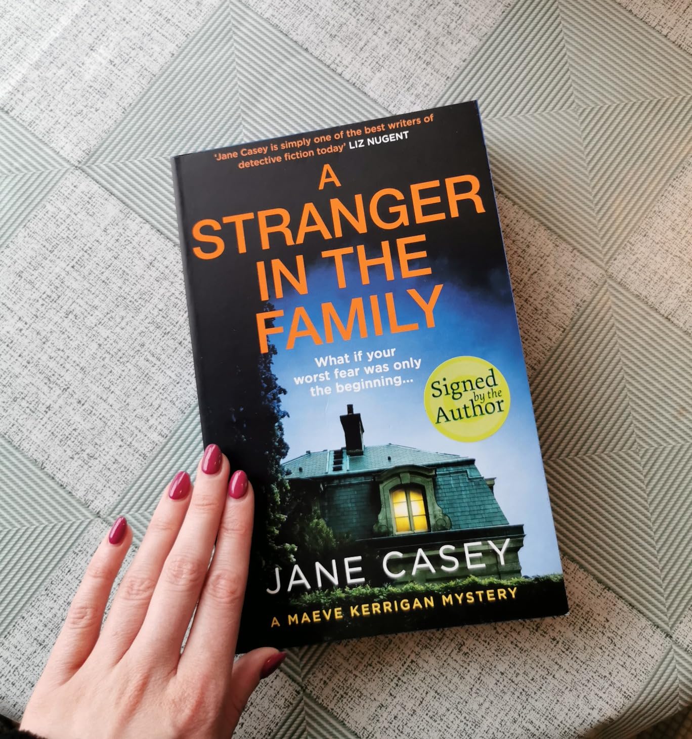A Stranger in the Family: The new 2024 detective crime thriller that ...