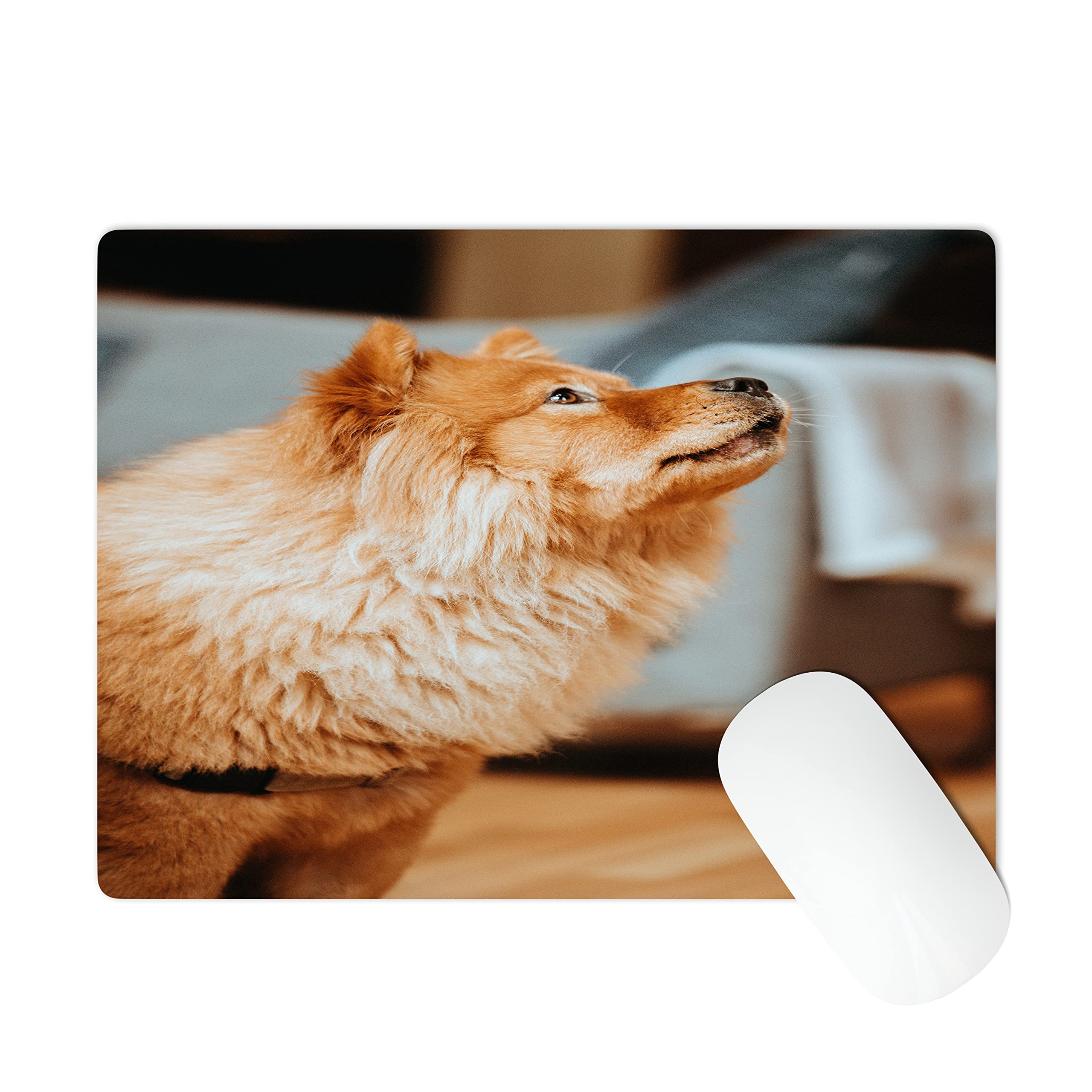 Animal Typing Computer