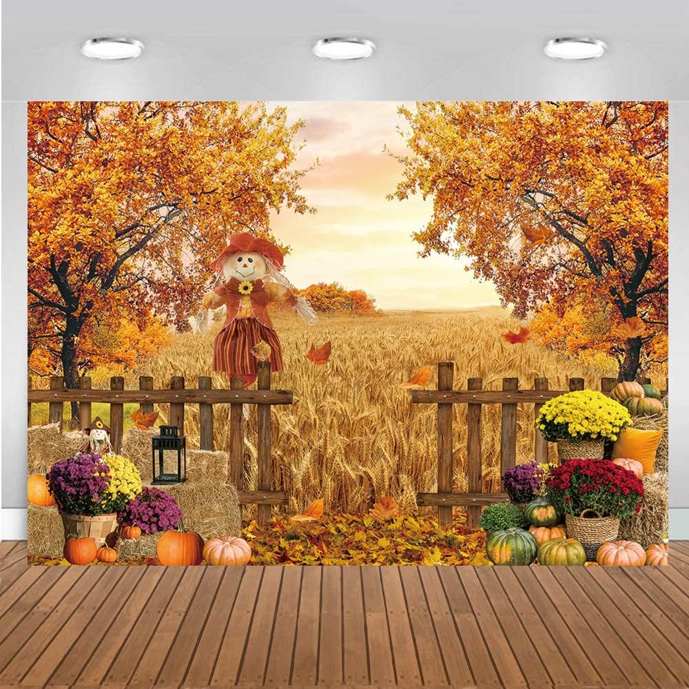 Amazon.com : Thanksgiving Backdrop, Fall Photography Backdrop, Autumn ...