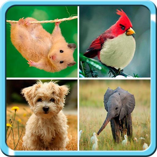 Cute Animal Puzzle Kids Game - App on Amazon Appstore