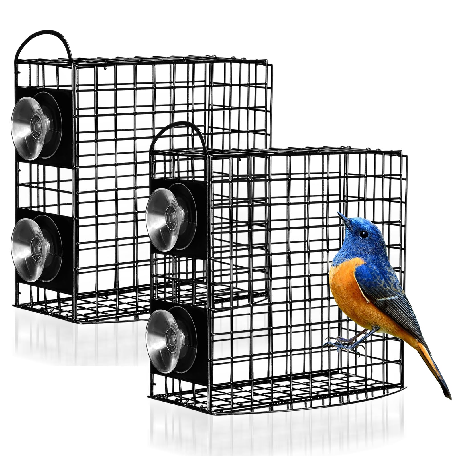 Amazon.com : Pickmesh 2 Pcs Window Suet Bird Feeder with Suction Cups ...