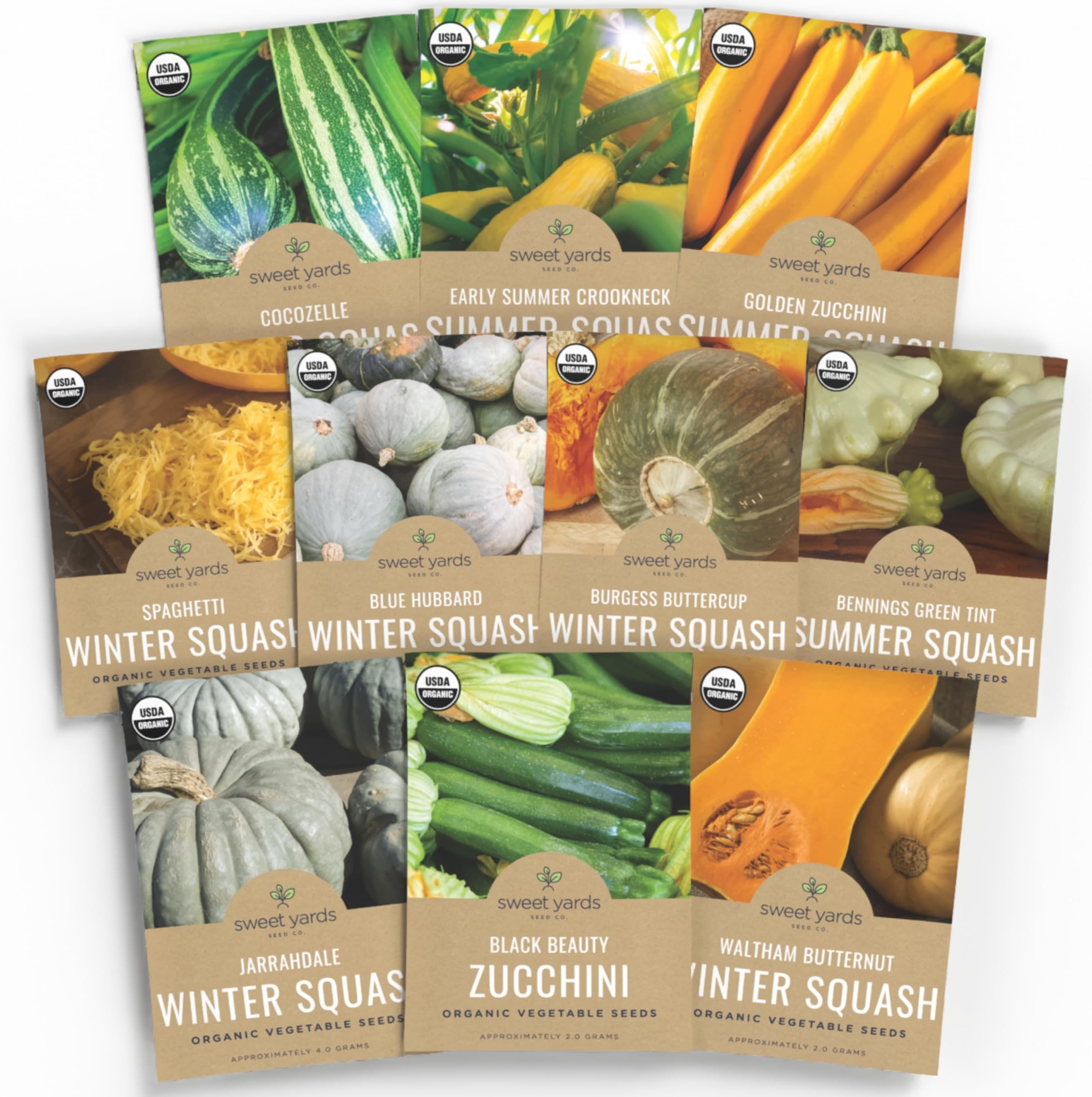 Amazon.com : “Summer Squash Mix” Zucchini aka Courgette Seeds – Fast ...
