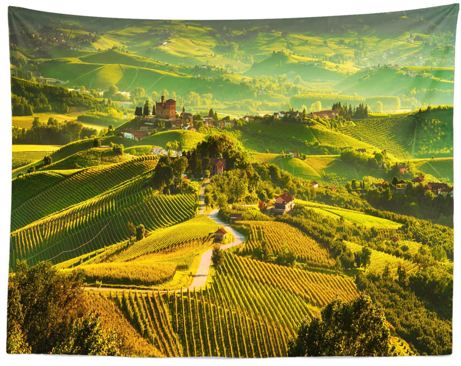 Italian Backdrop For Party 9x6ft Italy Vineyard Backdrop - Tuscany ...