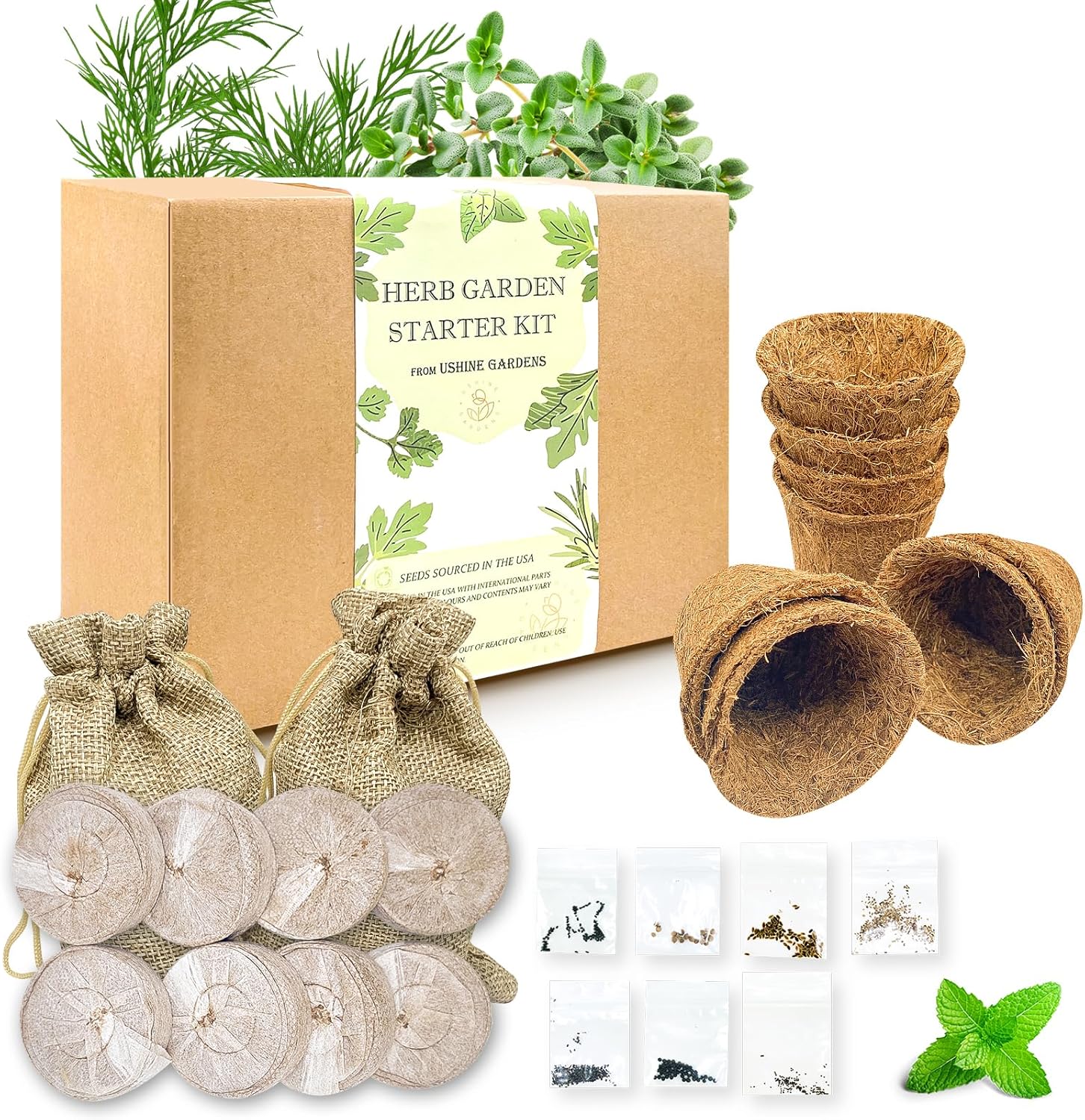 Amazon.com : Indoor Herb Garden Starter Kit, Ushine 7 Herb Seeds Grow ...