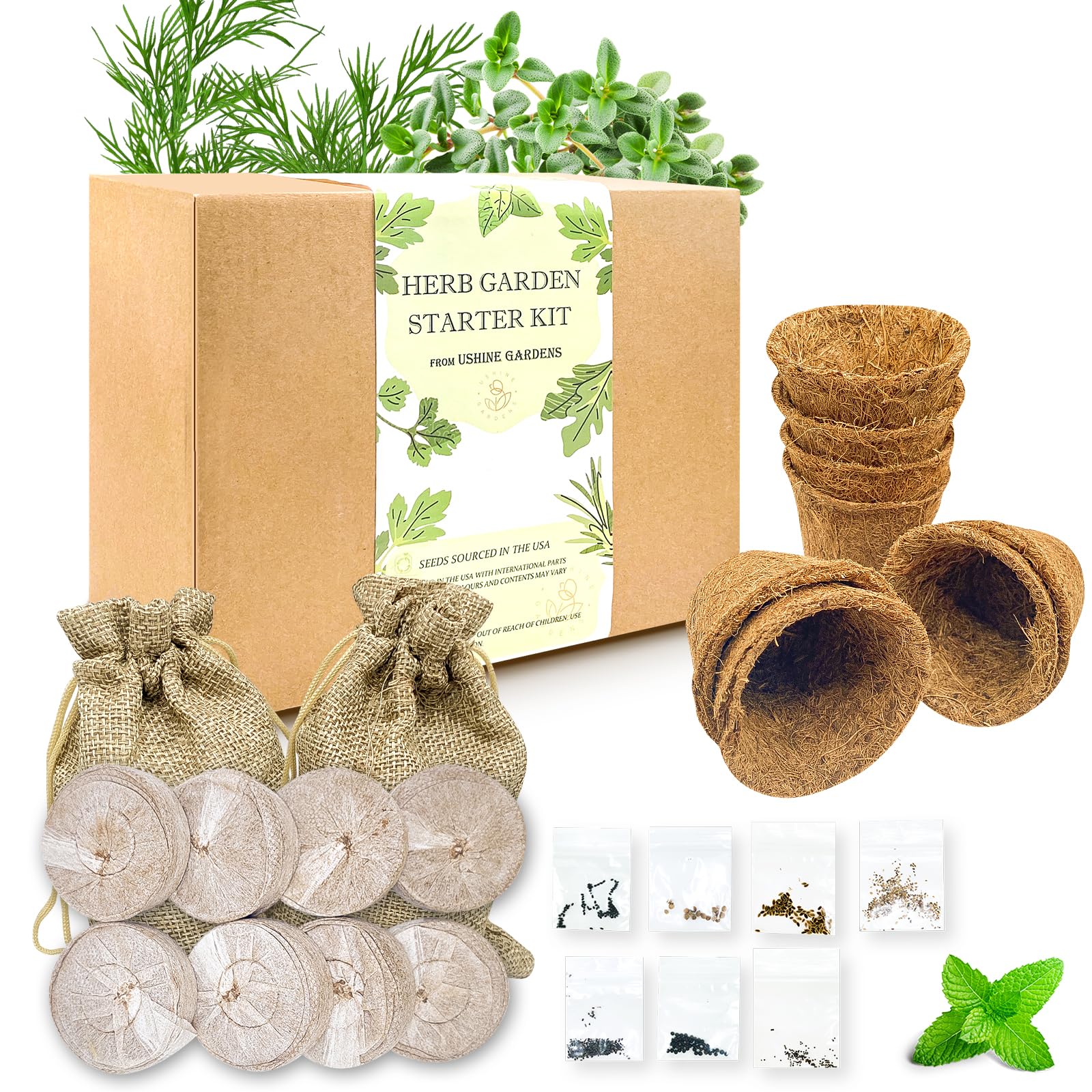 Conjunto De Hierba Aislada