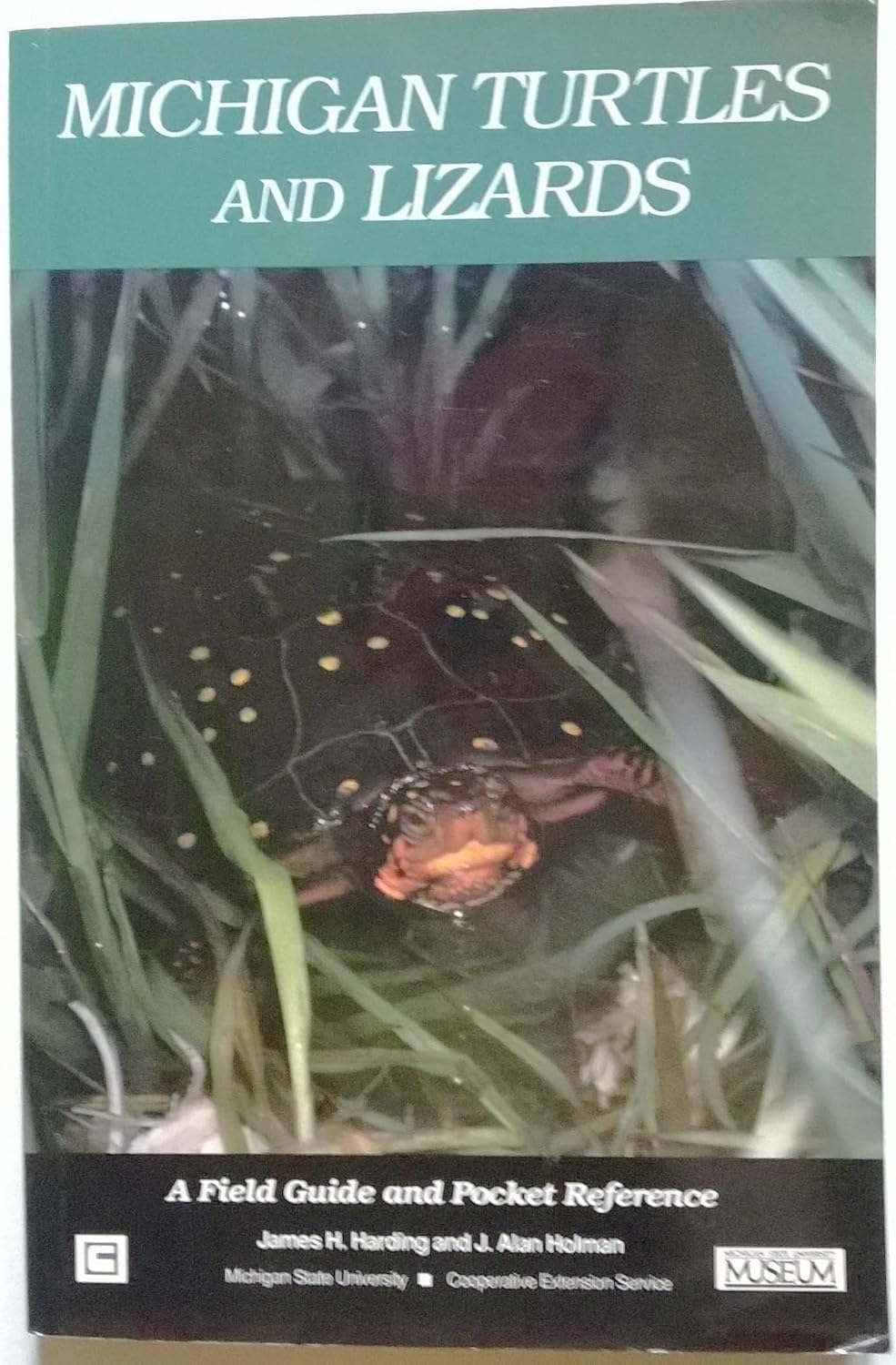 Michigan Turtles and Lizards: James H. & Holman Harding: Amazon.com: Books