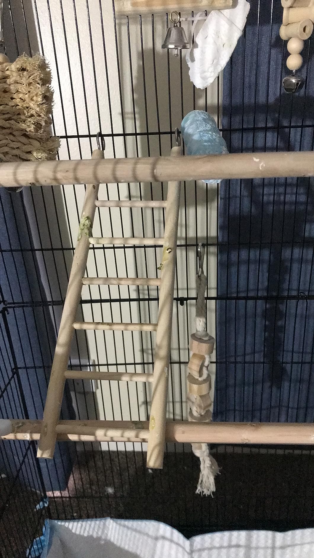 Avian Care Natural Wood Ladder 7 Step, 31cm - Natural Wood Perch Ladder ...