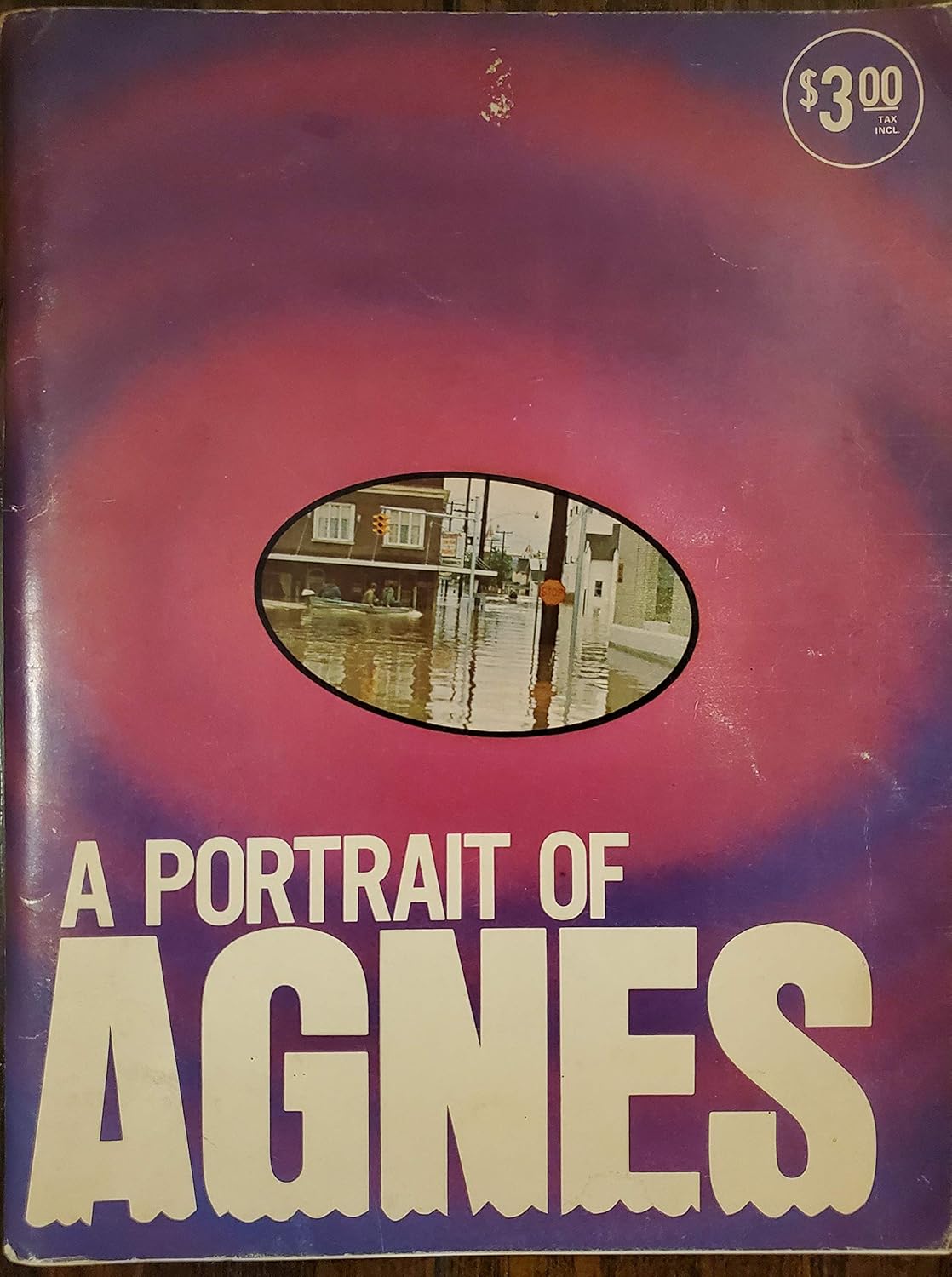 A Portrait of Agnes (Hurricane Agnes Flood, Wyoming Valley ...