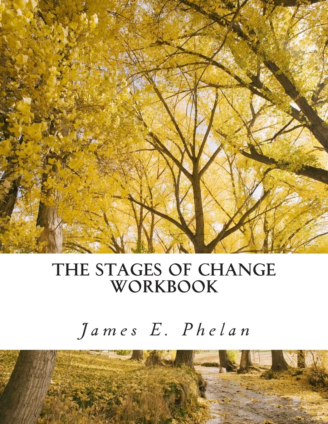 The Stages of Change Workbook: Practical Exercises For Personal ...