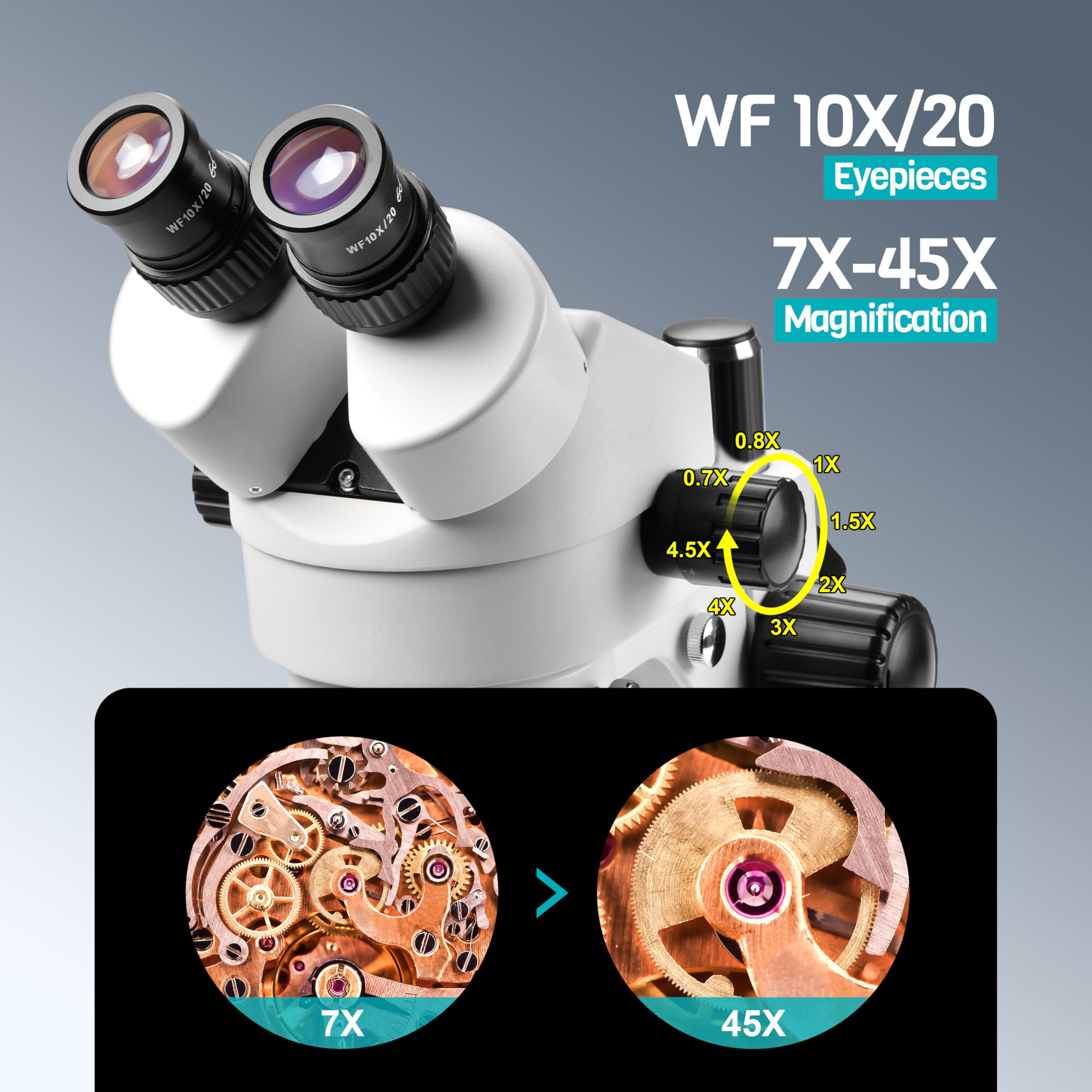 Snapklik.com : Binocular Stereo Zoom Microscope, WF10x Eyepieces, 7X ...