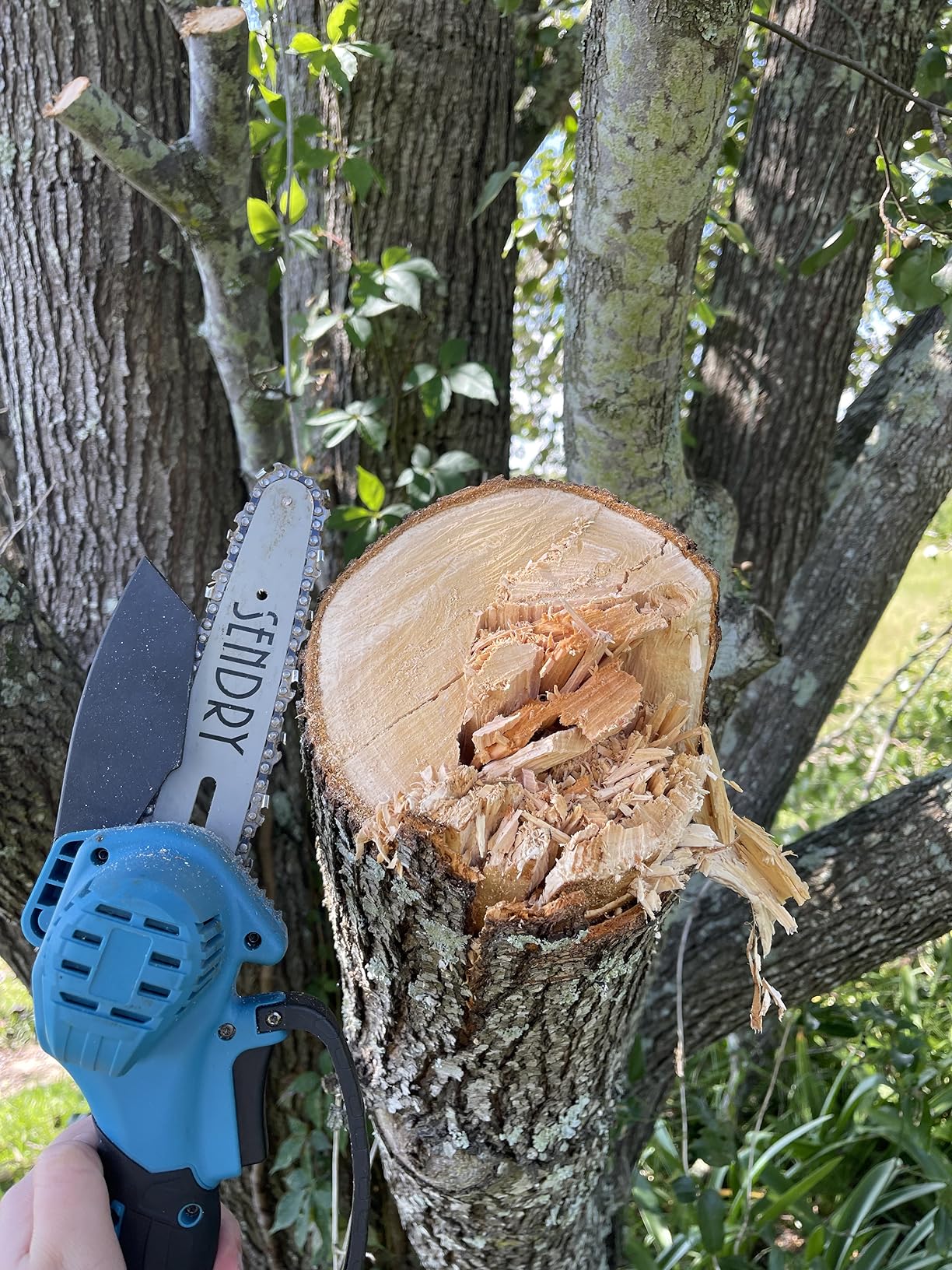 $9/mo - Finance SENDRY Mini Chainsaw 6-Inch, Powerful Cordless ...