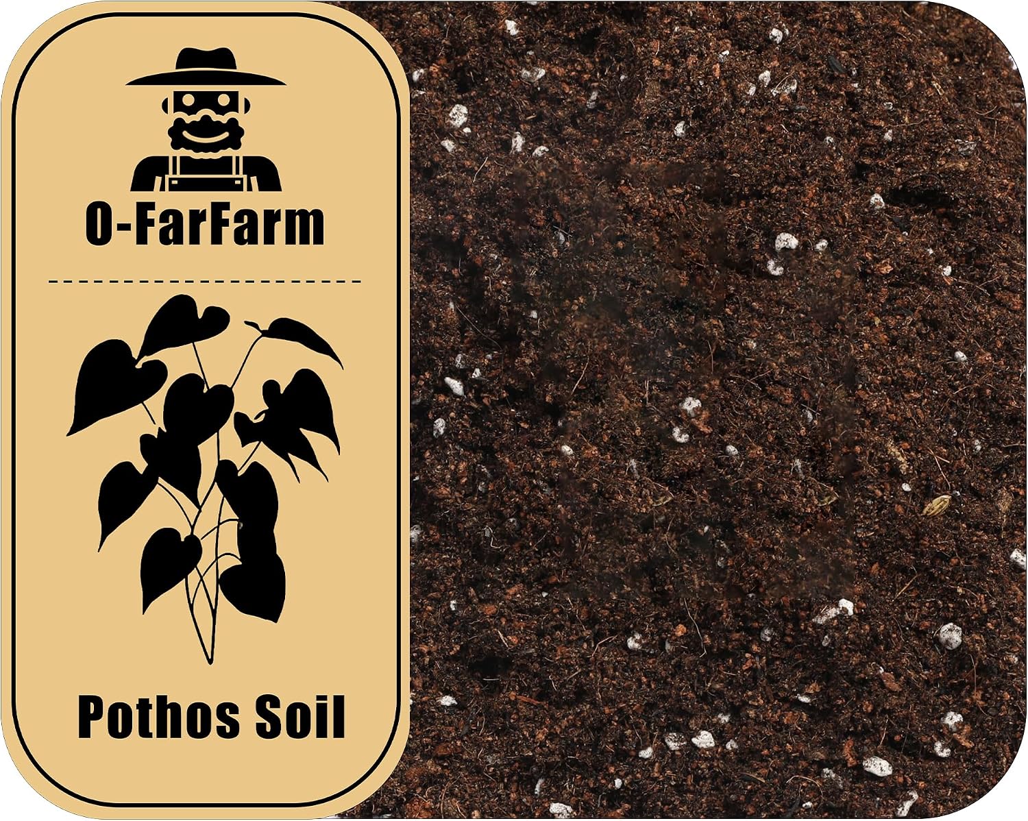 Amazon.com : O-FarFarm Organic Potting Soil Mix for Pothos Plant and ...
